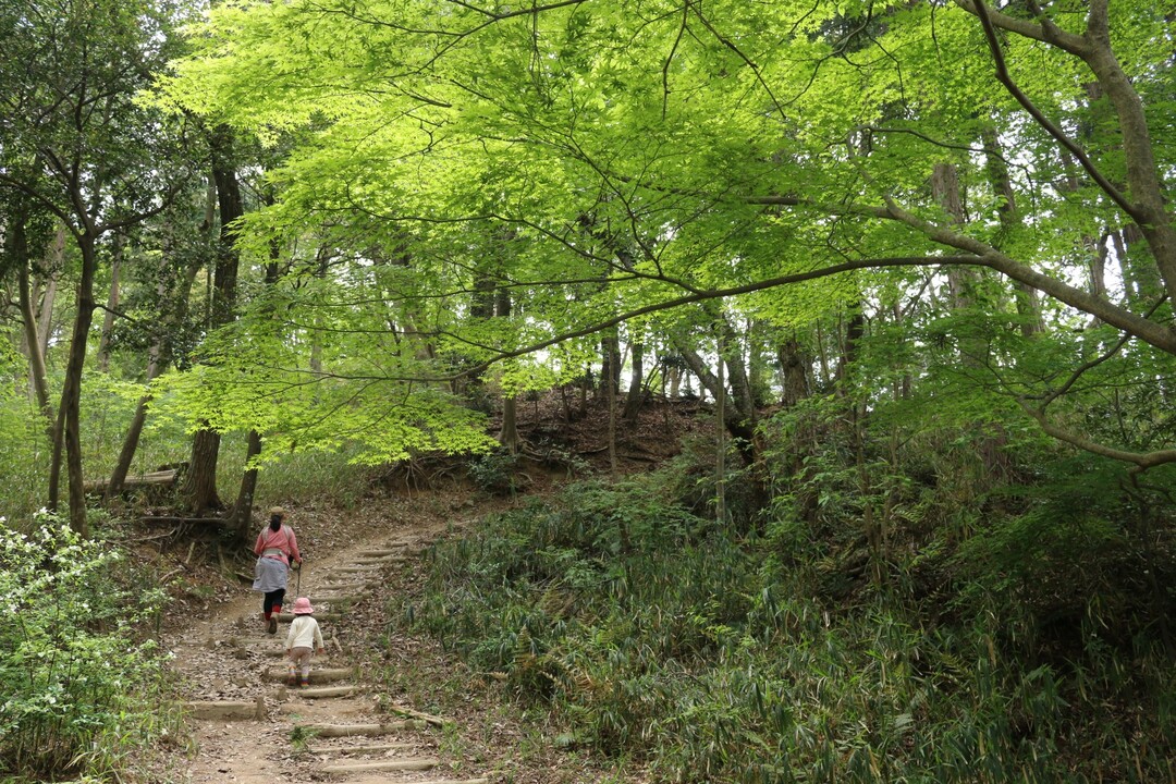 鍋蓋山 再度越 再度山 周回コースの地図・登山ルート・登山口情報 Yamap ヤマップ