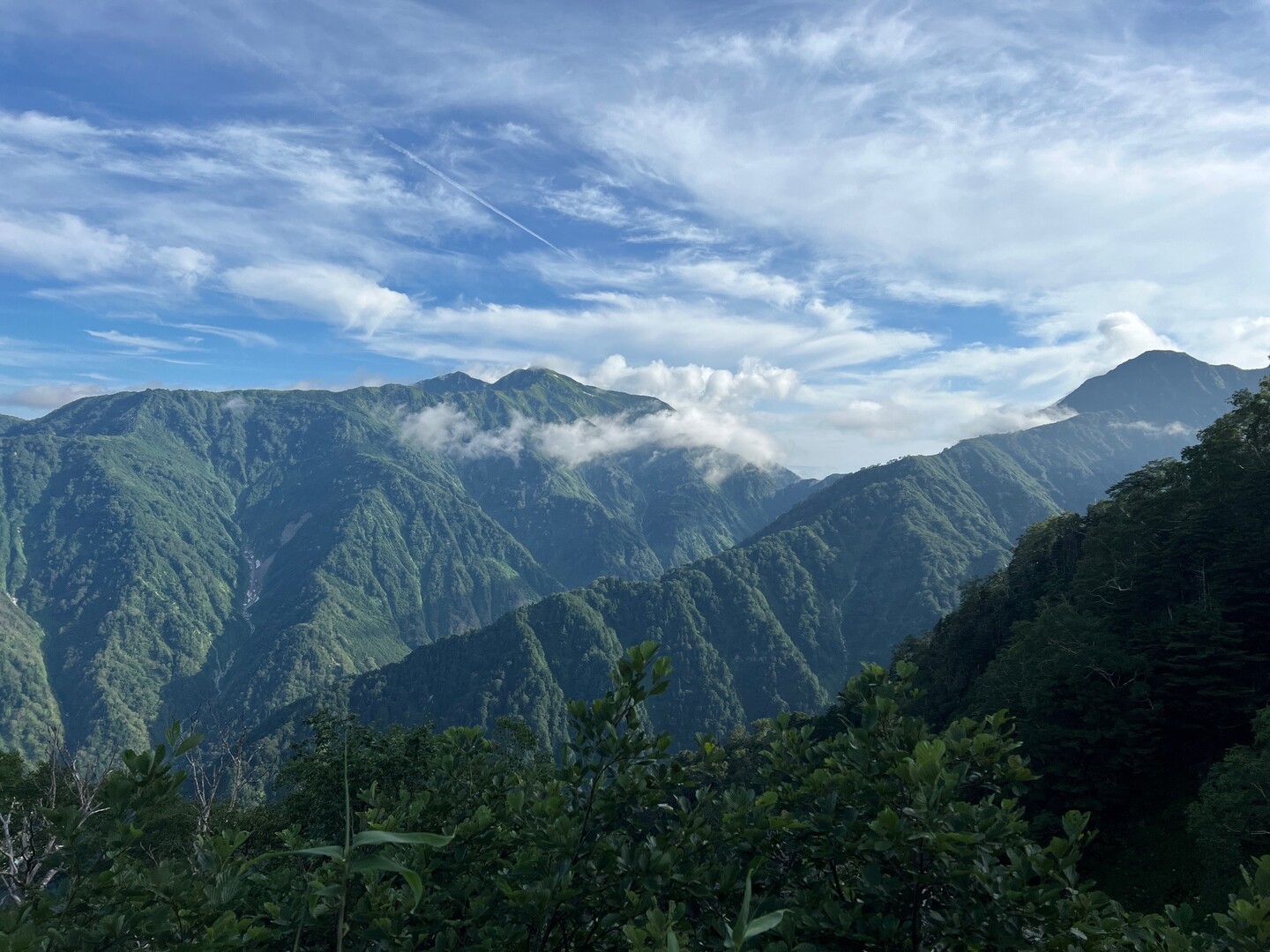 SACHIKO.さんの投稿したフィールドメモ | YAMAP / ヤマップ