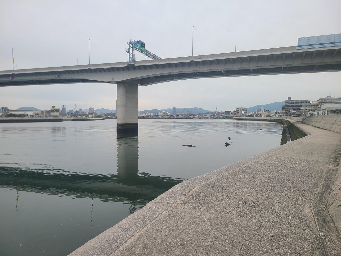 ウォーキング-2023-04-24 / hiユーザーさんのウォーキングの活動データ | YAMAP / ヤマップ