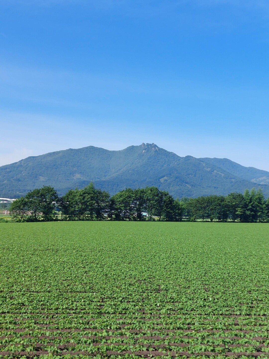 一の森・剣山 / 382さんの芽室岳・久山岳・剣山の活動データ | YAMAP / ヤマップ