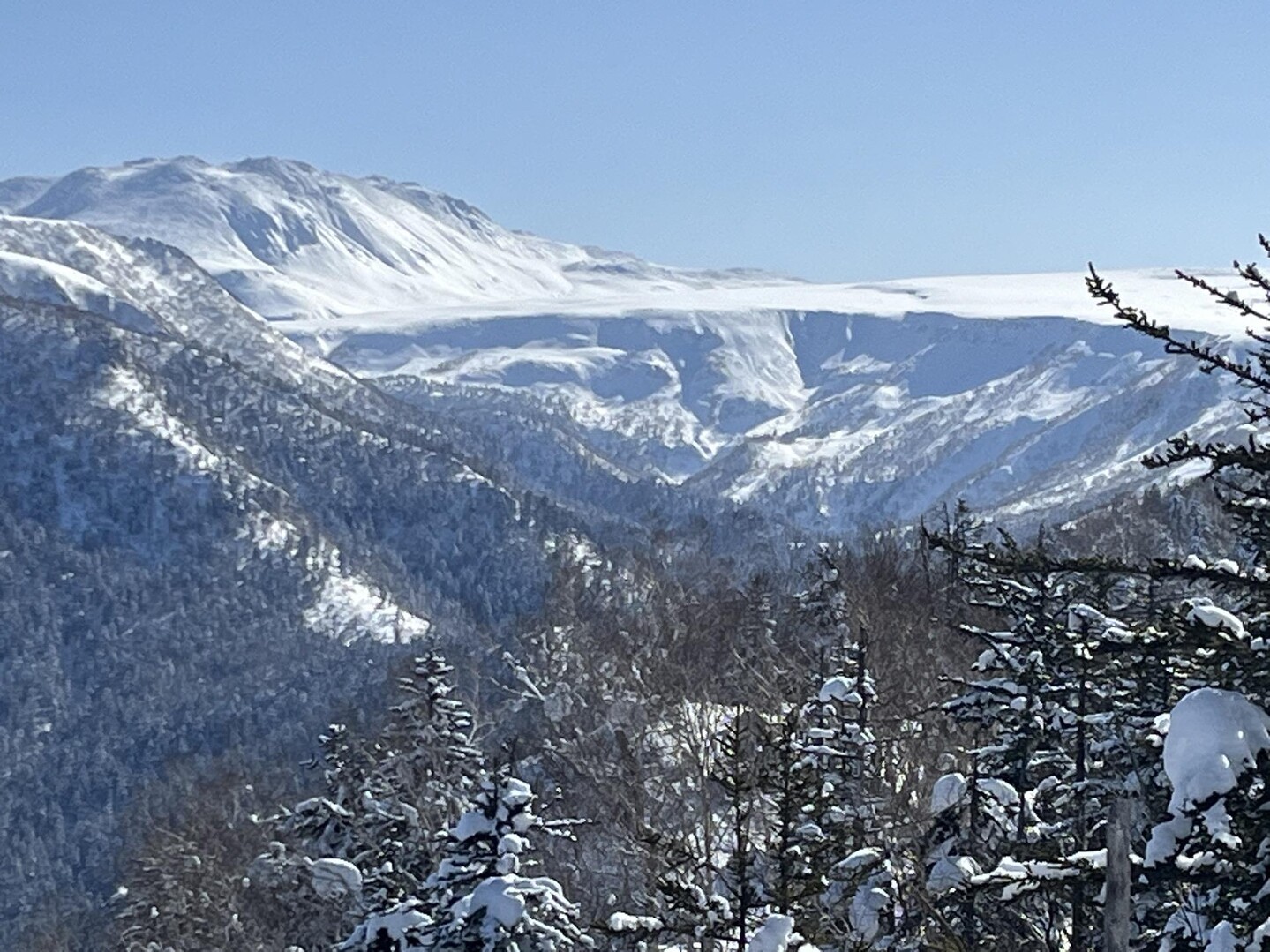 the DAY of上忠別山 / tar_cyさんの大雪 旭岳 SEA TO SUMMIT 2019の活動データ | YAMAP / ヤマップ
