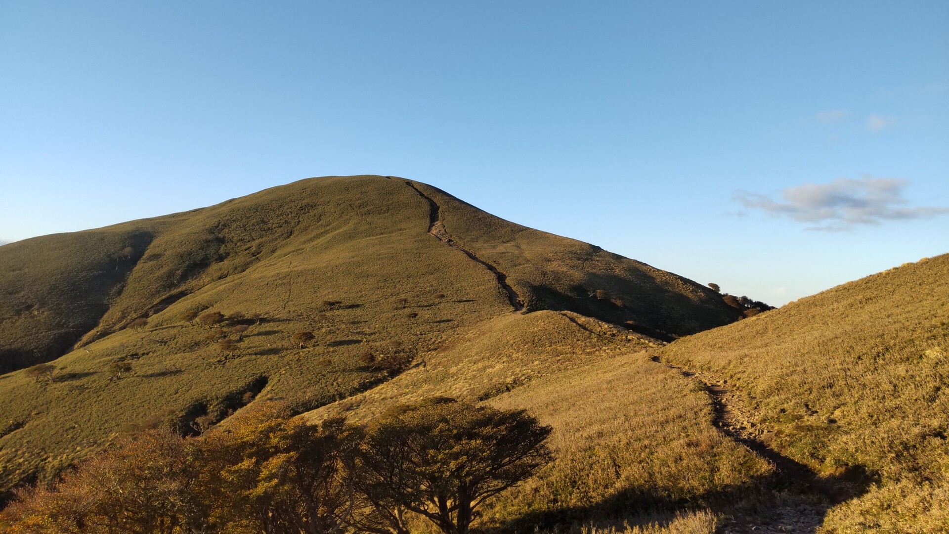 竜ヶ岳（金山尾根） / guhuさんの竜ヶ岳の活動データ | YAMAP / ヤマップ