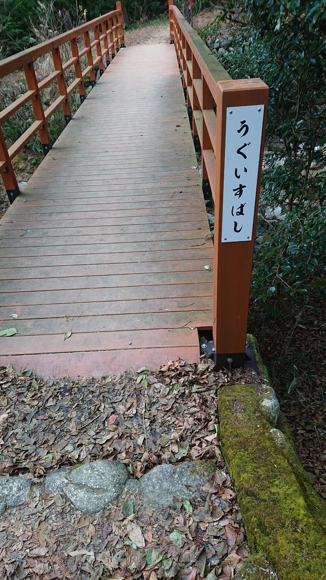 菰野富士 / テツさんの御在所岳（御在所山）・雨乞岳の活動日記 | YAMAP / ヤマップ