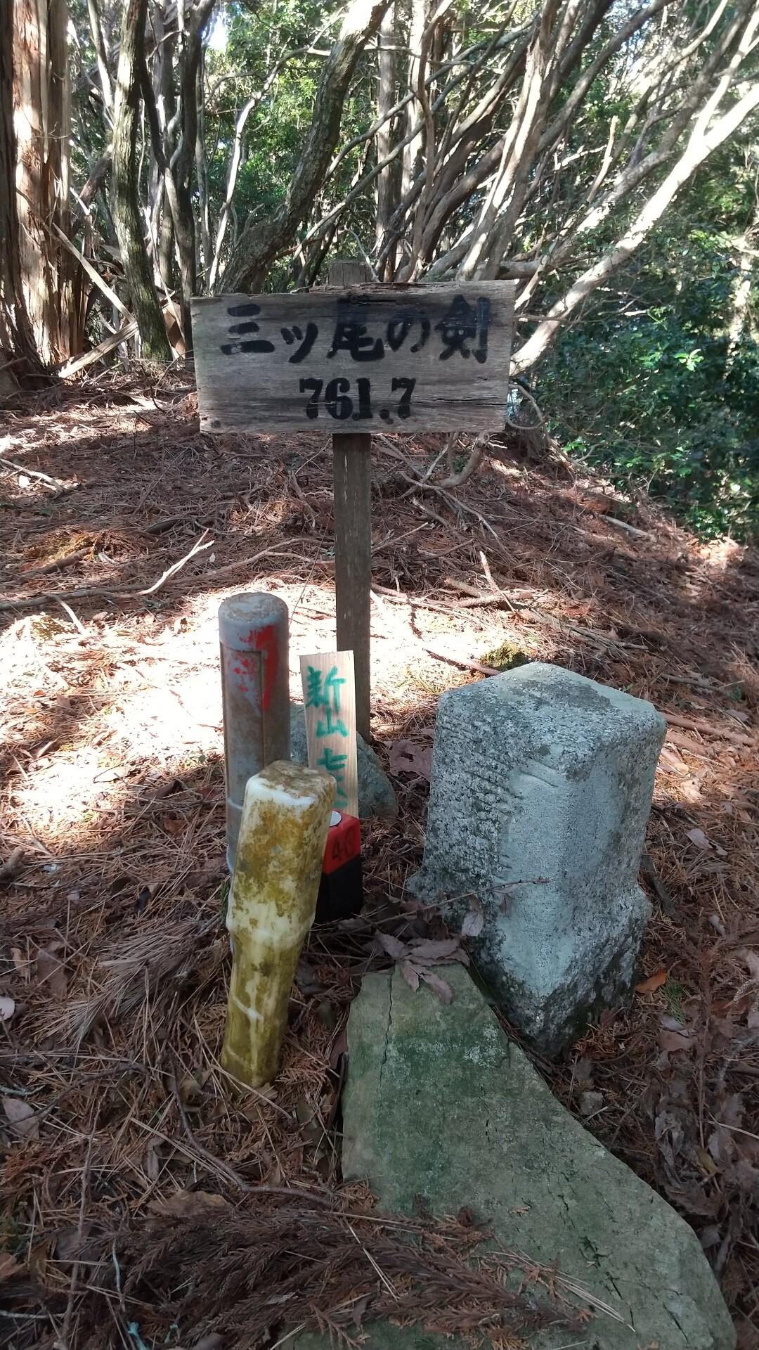 リンコウの頭・三ツ尾の剣 2023/1/22 / Sunさんの四国遍路その2の活動日記 | YAMAP / ヤマップ