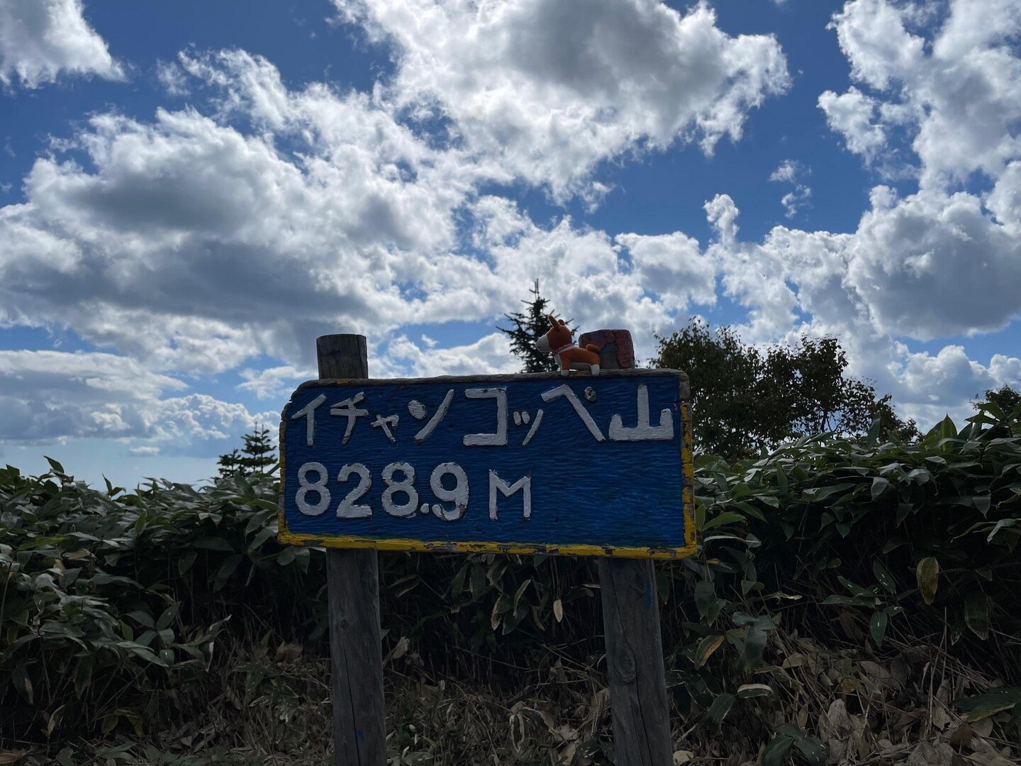 イチャンコッペ山 / やまkumiさんのイチャンコッペ山の活動データ | YAMAP / ヤマップ