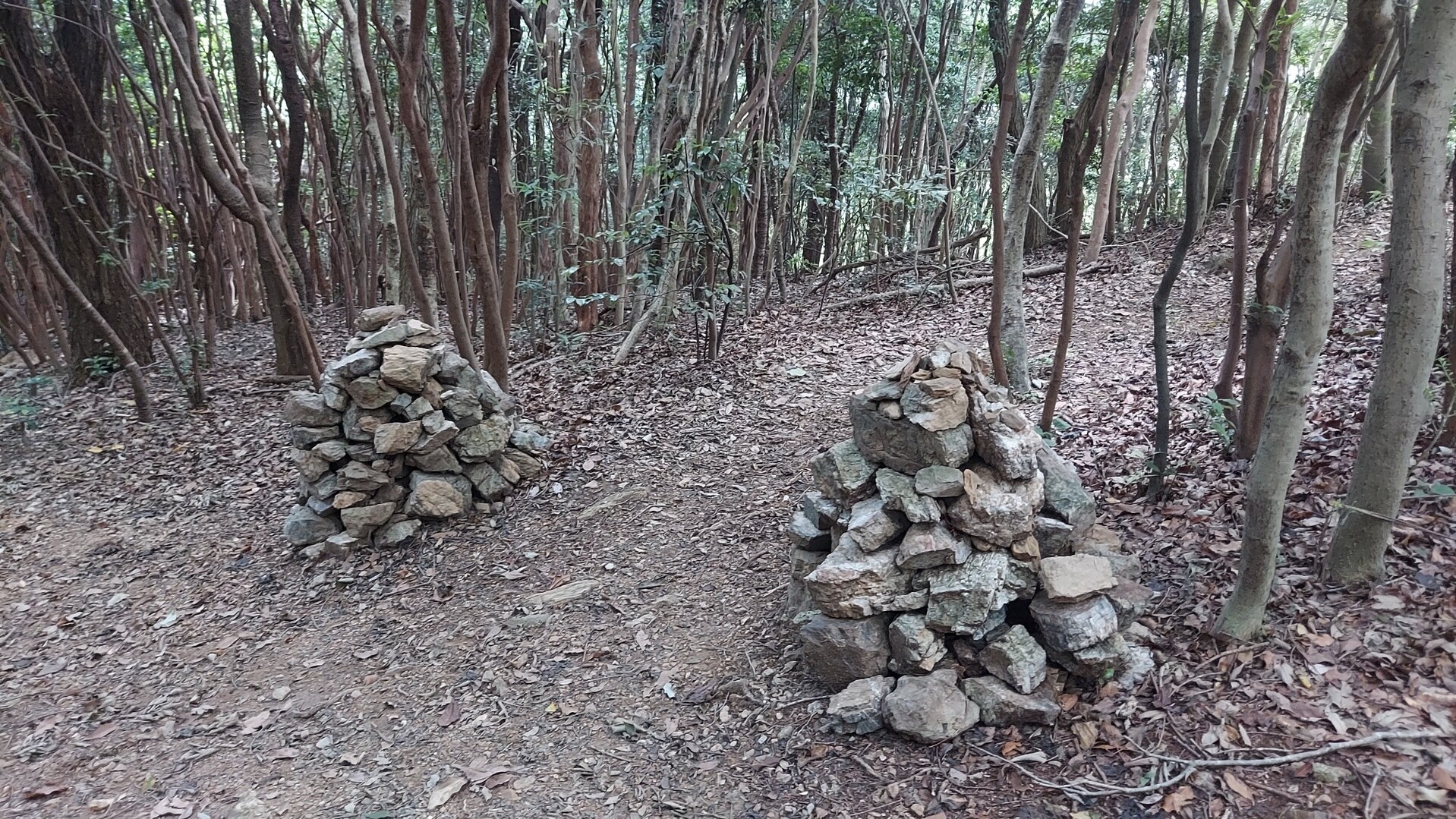 piropiroさんの投稿したフィールドメモ | YAMAP / ヤマップ