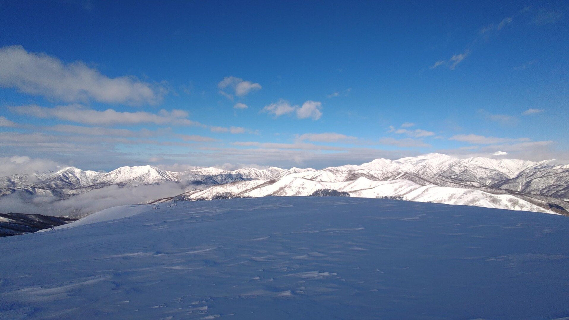 大日ヶ岳BC / HIDEさんの大日ヶ岳・毘沙門岳の活動データ | YAMAP / ヤマップ