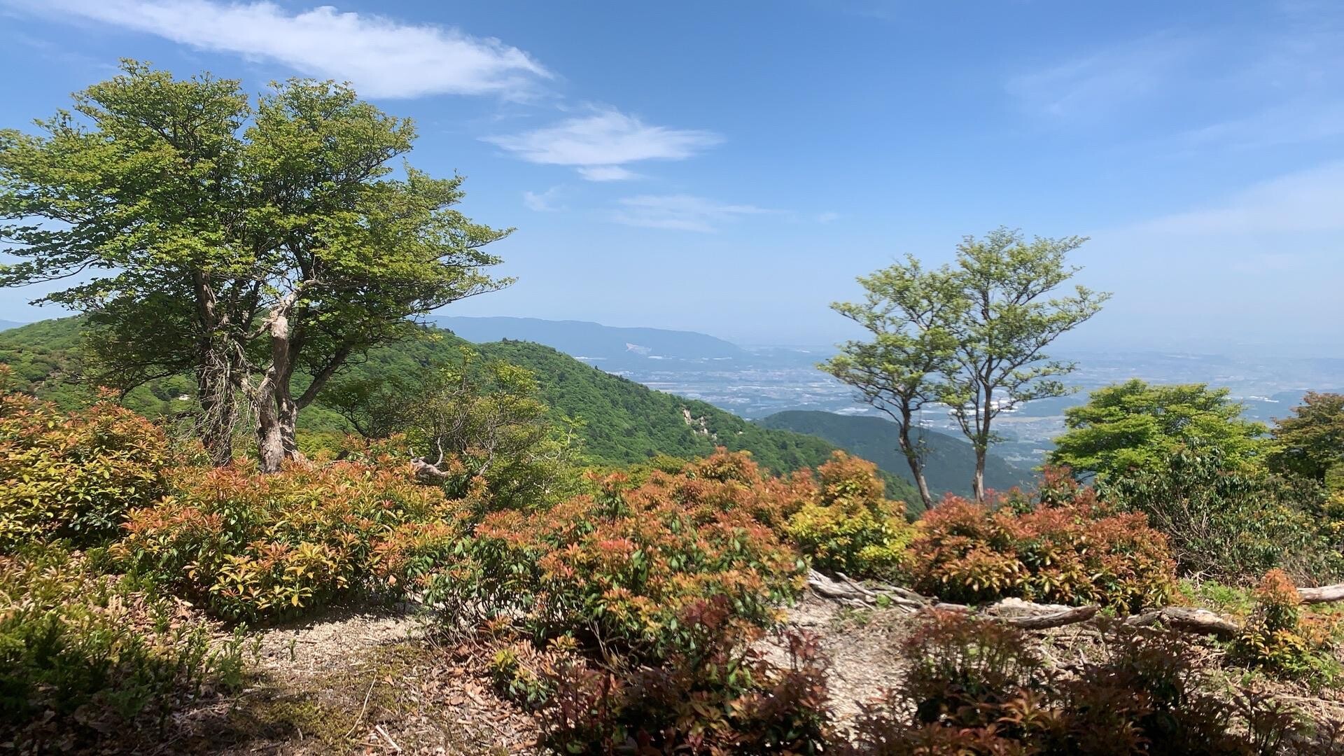 北山・岩ヶ峰・釈迦ヶ岳・仙香山・北仙香山 / Hiro_10さんの釈迦ヶ岳の活動日記 | YAMAP / ヤマップ
