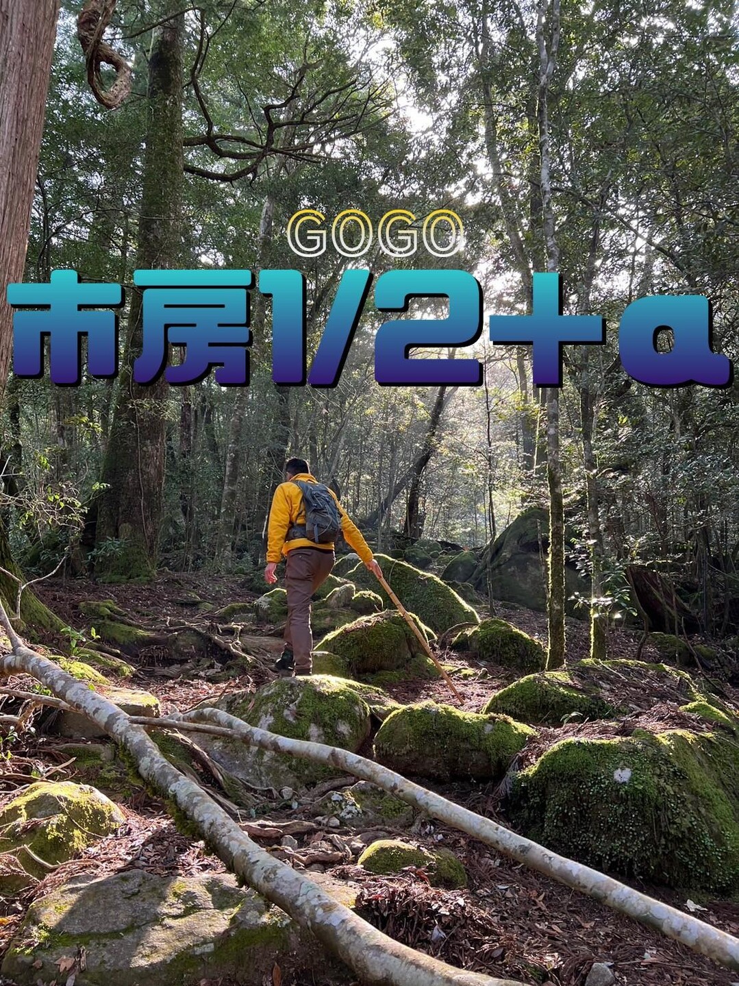 お嶽さんGOGO！(市房山五合) / 柊 《シュウ》さんの市房山の活動日記 | YAMAP / ヤマップ