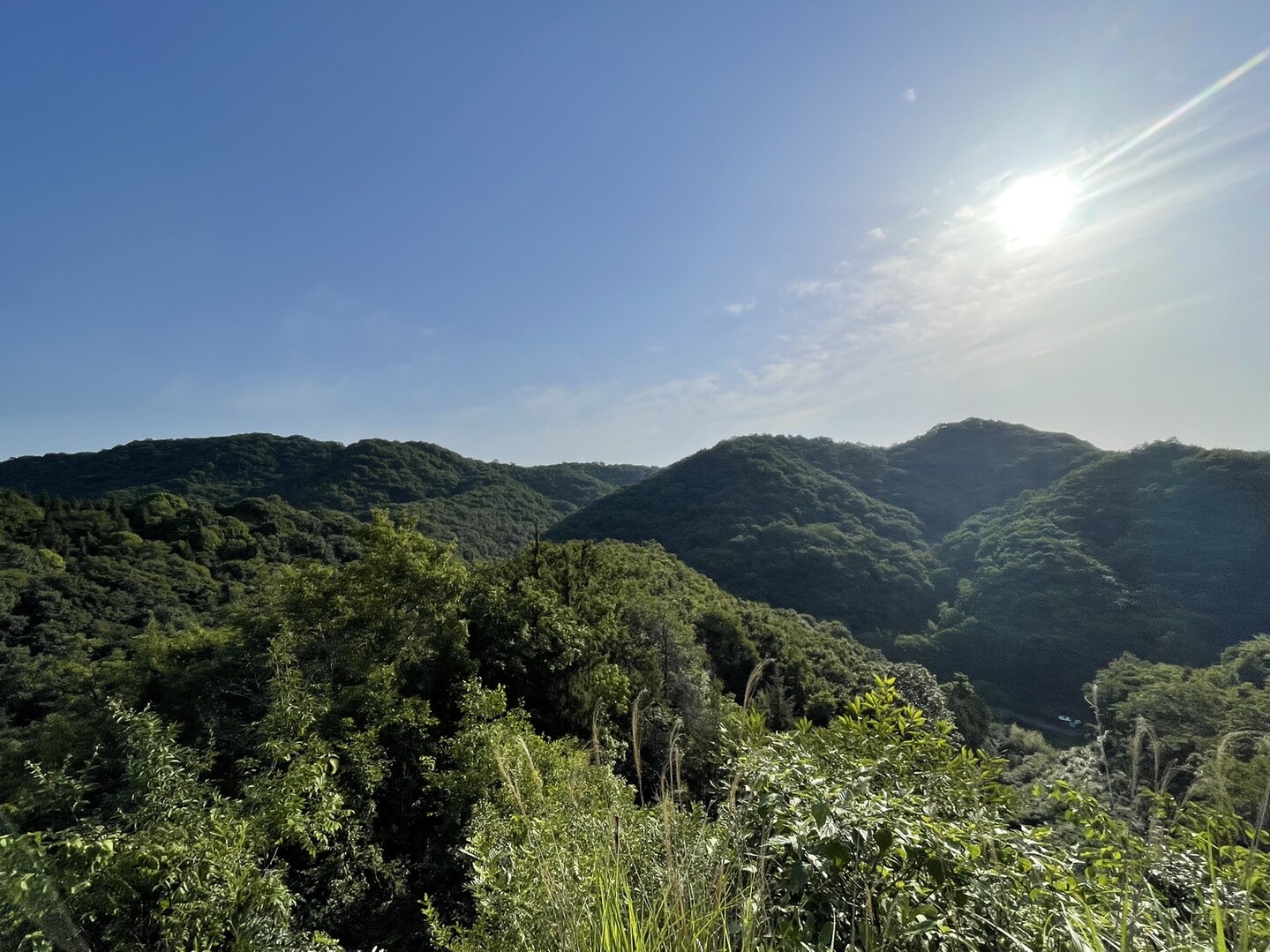 syupyさんの投稿したフィールドメモ | YAMAP / ヤマップ