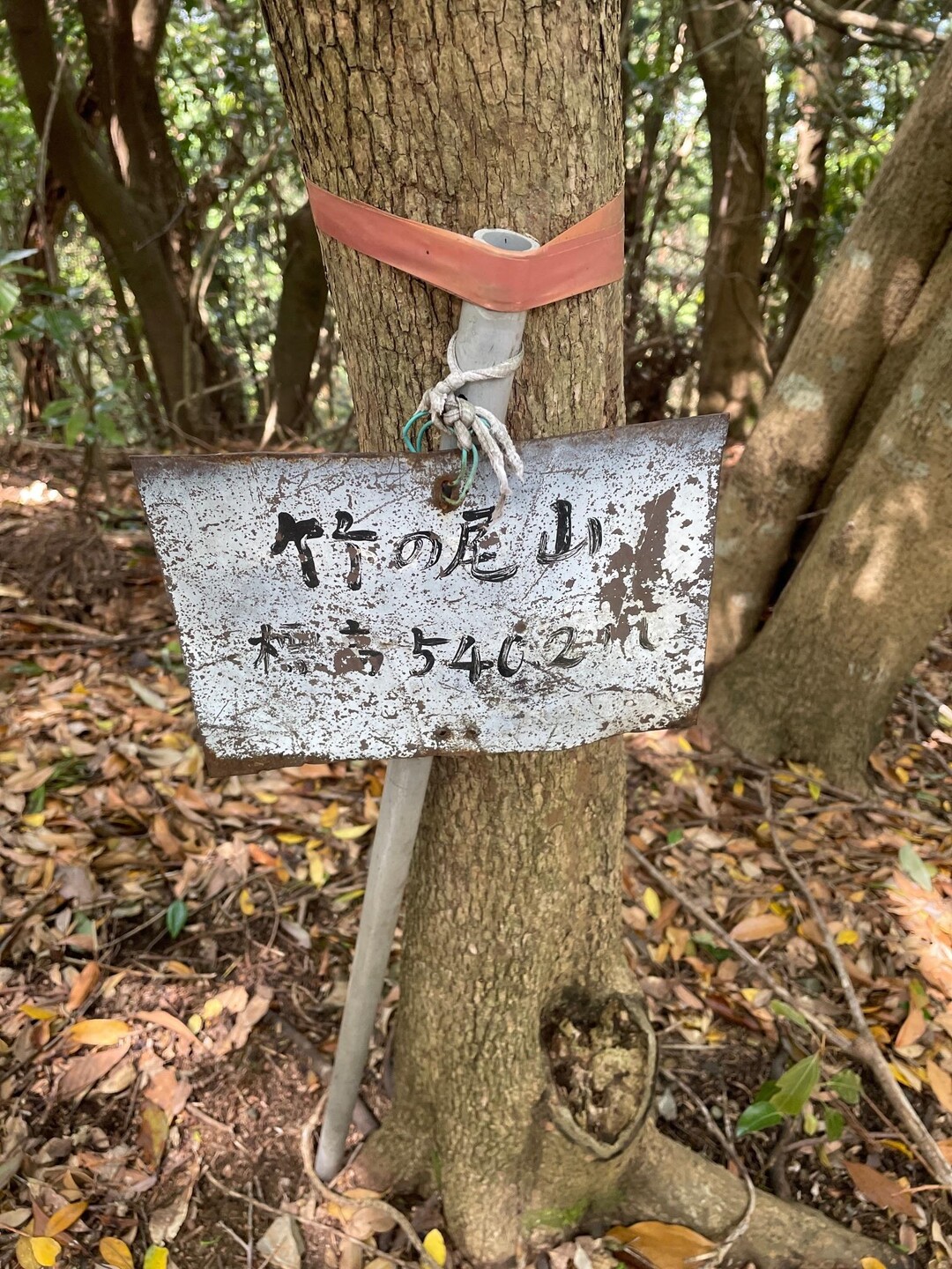 竹の尾山 / 130Kさんの天拝山・基山の活動データ | YAMAP / ヤマップ