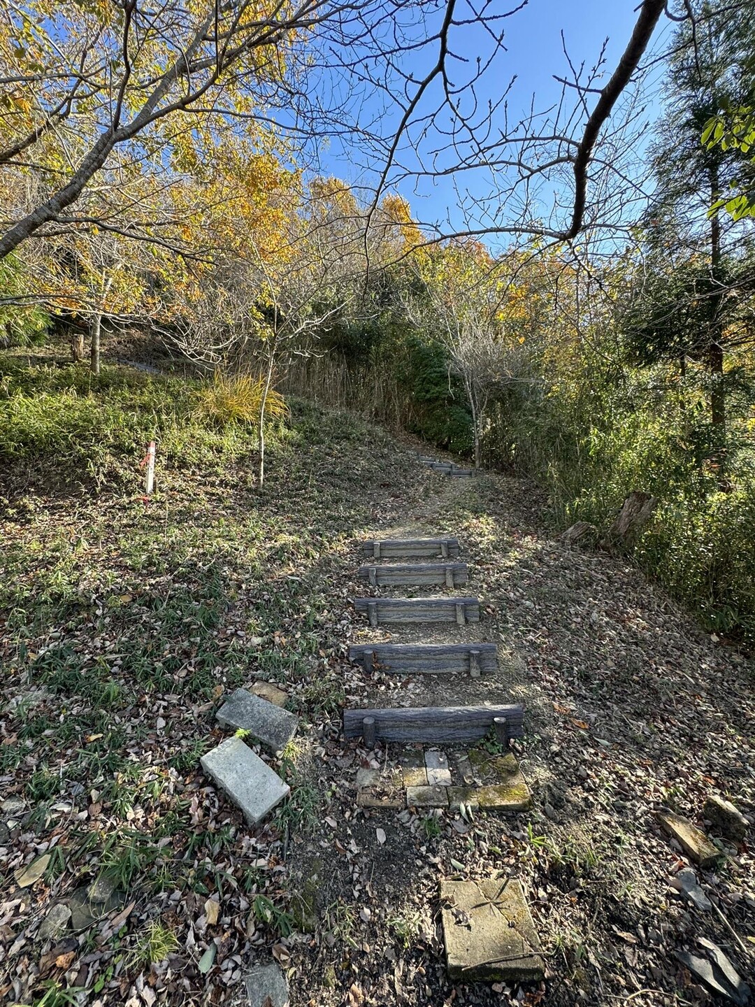 今日はここっ☝️ 伊賀の裏山🍵 / namisuke🐝さんのハイキングの活動データ | YAMAP / ヤマップ