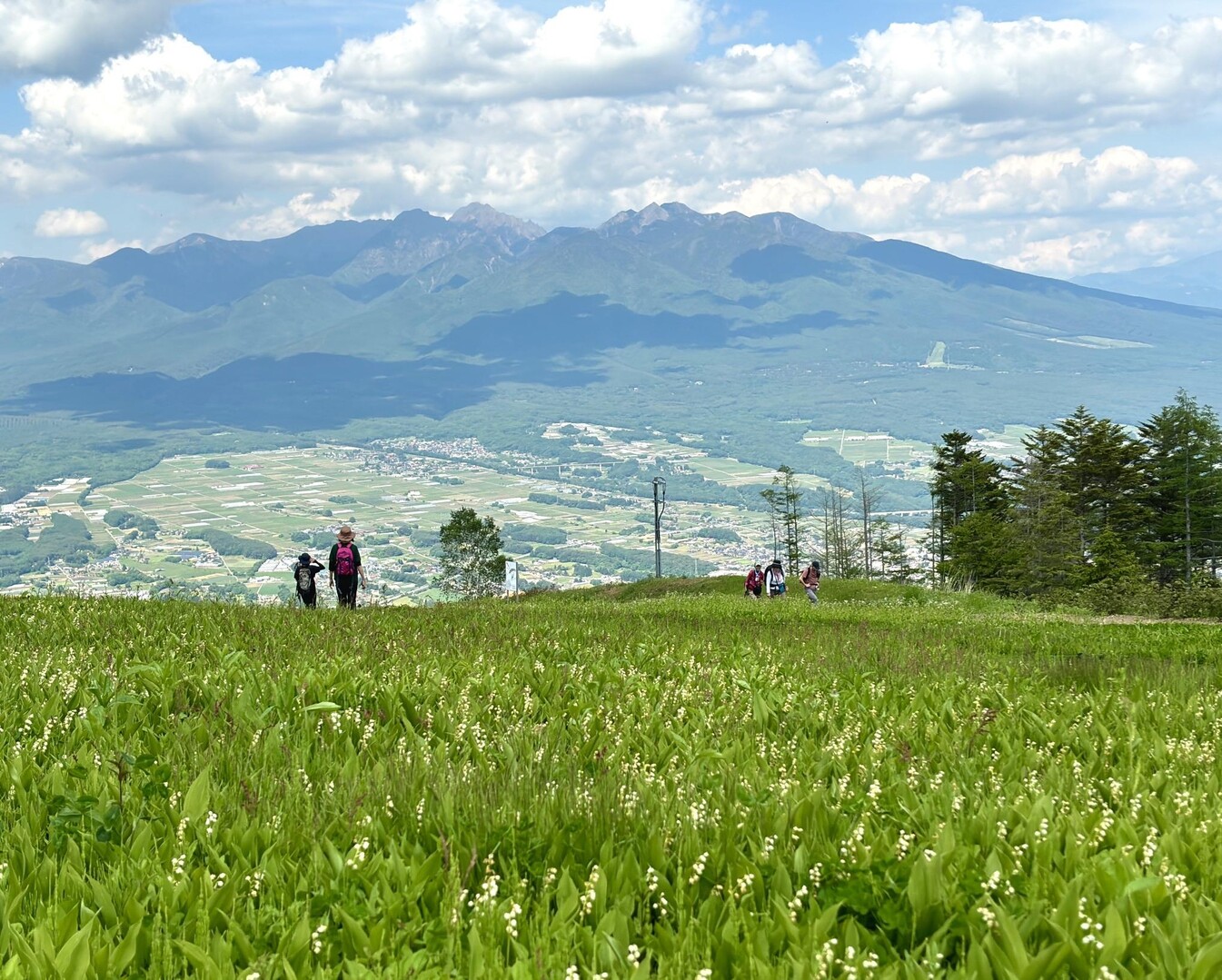 お花畑の入笠山ハイキング / aichi ksさんの入笠山の活動日記 | YAMAP / ヤマップ