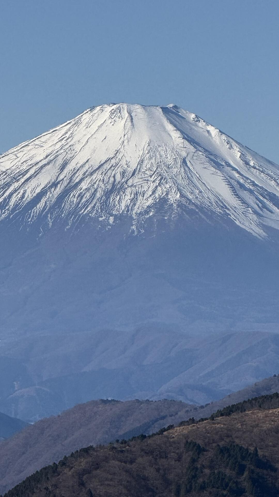ヤビツ峠から大山 / mochiさんの大山の活動データ | YAMAP / ヤマップ