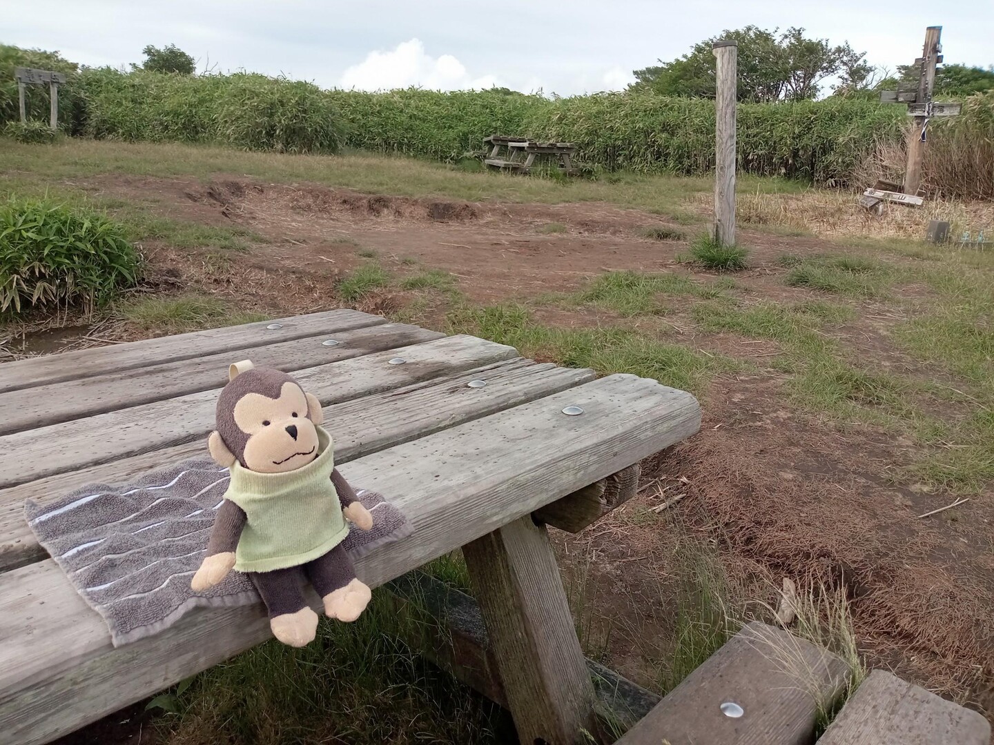 本栖湖一周山巡り！竜ヶ岳・パノラマ台 / monkichi_1さんの毛無山・雨ヶ岳・竜ヶ岳の活動データ | YAMAP / ヤマップ