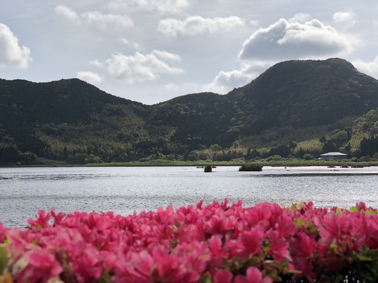 藺牟田池をぐ〜るぐる / moco🐾さんの藺牟田池・飯盛山・片城山の活動データ | YAMAP / ヤマップ