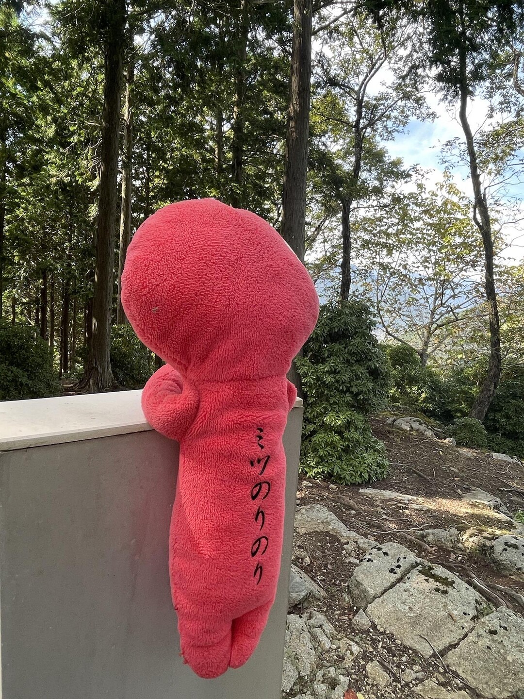 みゃー、again (宮山:一宮) / ハルヲさんの宮山の活動データ | YAMAP / ヤマップ