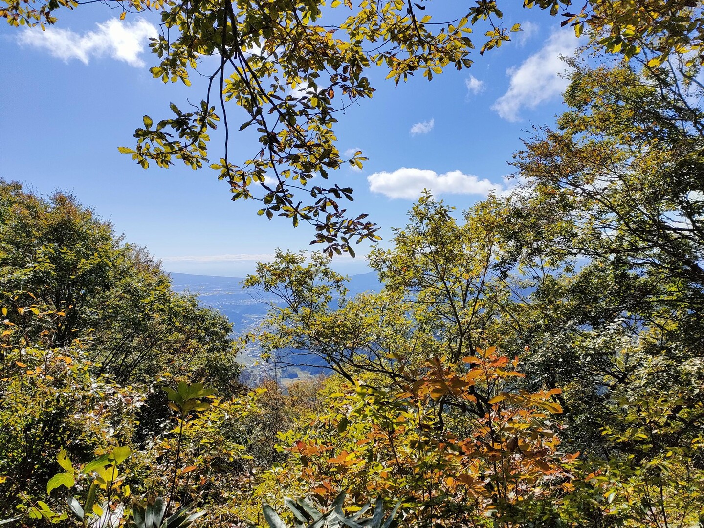 迦葉山 / yanさんの鉱石山・木賊山の活動データ | YAMAP / ヤマップ