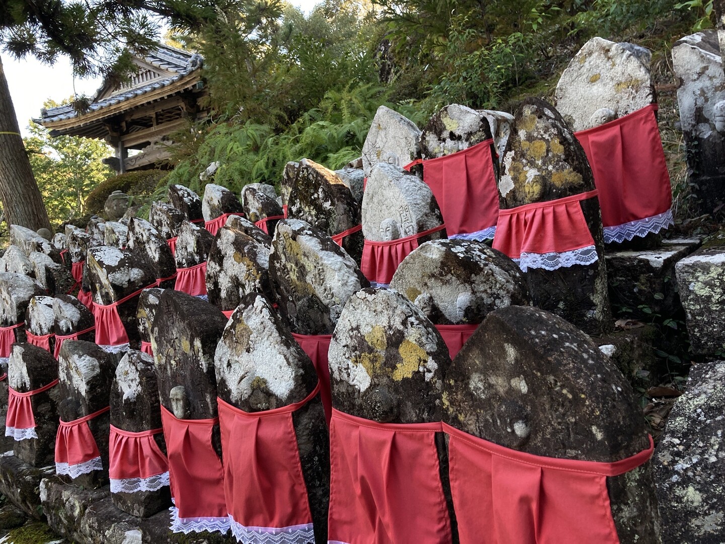 四国八十八ヶ所巡り 28番札所 大日寺 / koyunisoさんのモーメント | YAMAP / ヤマップ