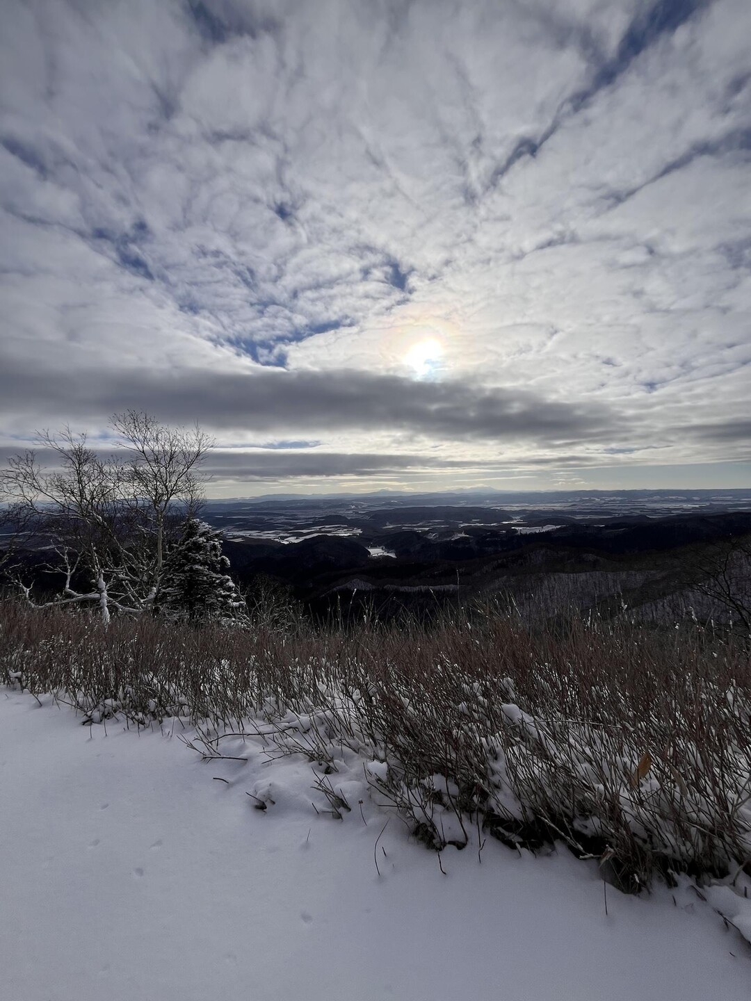仁頃山 / zect (ゼクト)さんの仁頃山の活動データ | YAMAP / ヤマップ