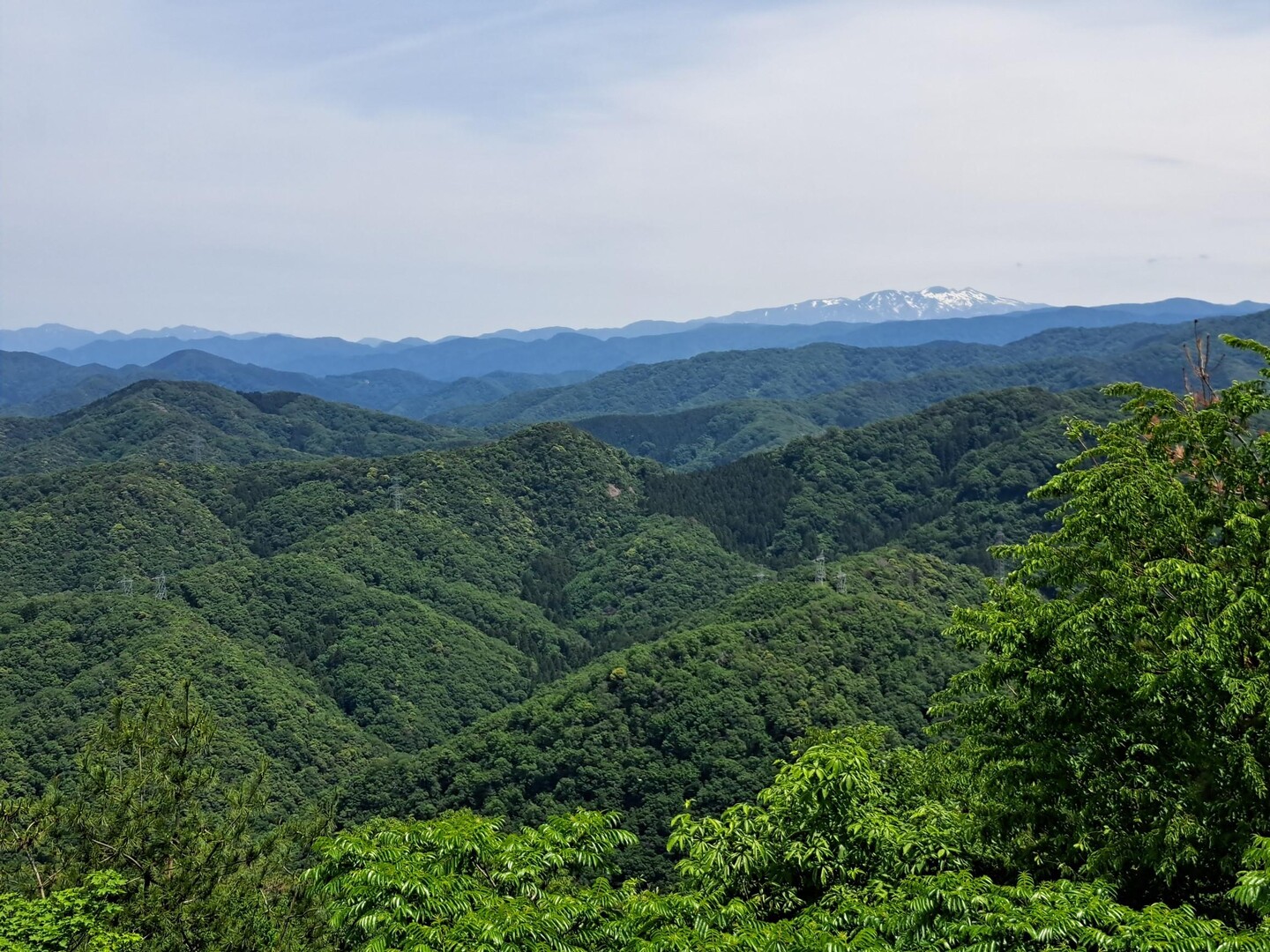 水無山・源氏山 / jasmineさんの水無山の活動データ | YAMAP / ヤマップ