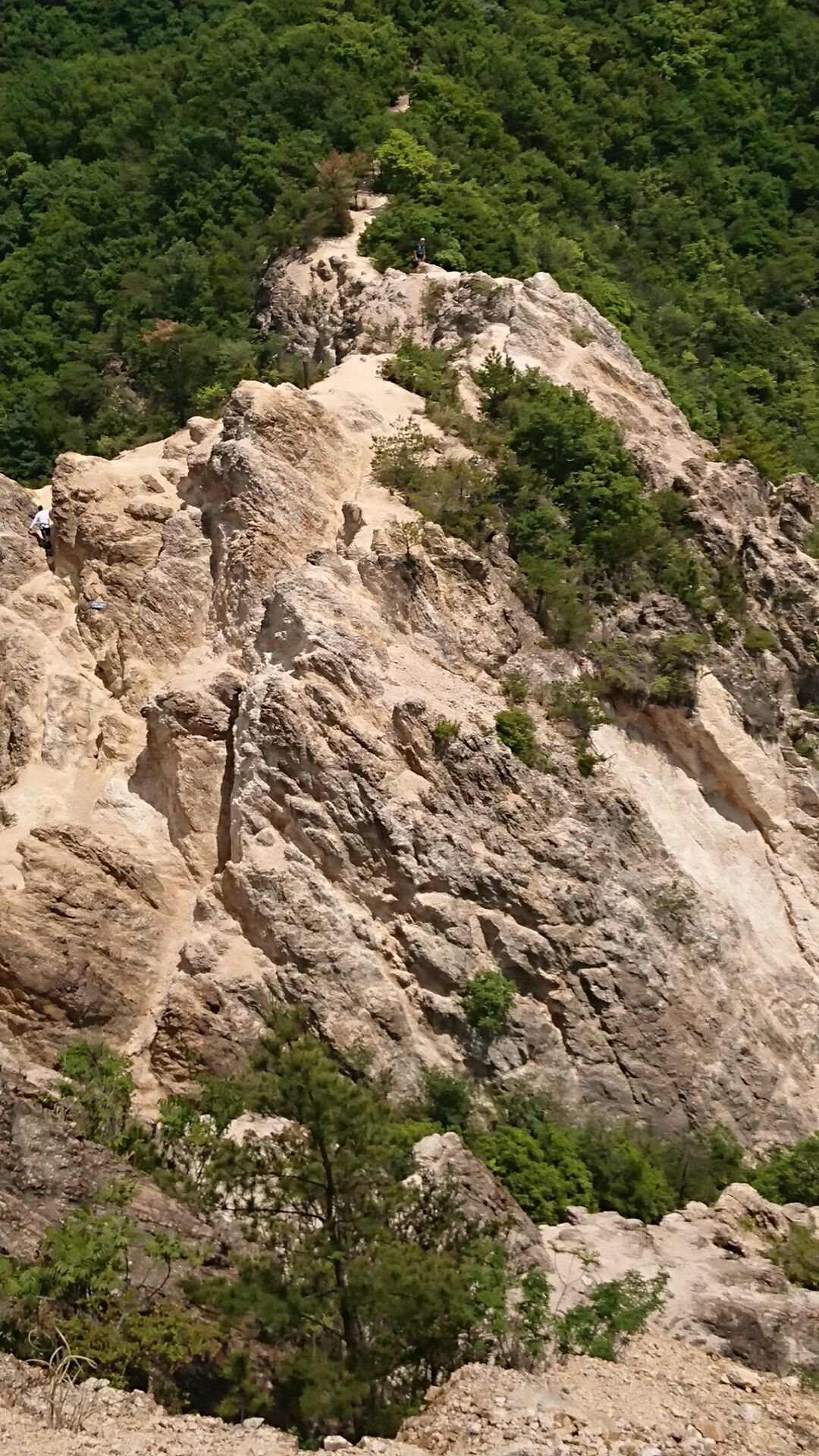 須磨アルプス / tetsu-nさんの六甲山・長峰山・摩耶山の活動データ | YAMAP / ヤマップ