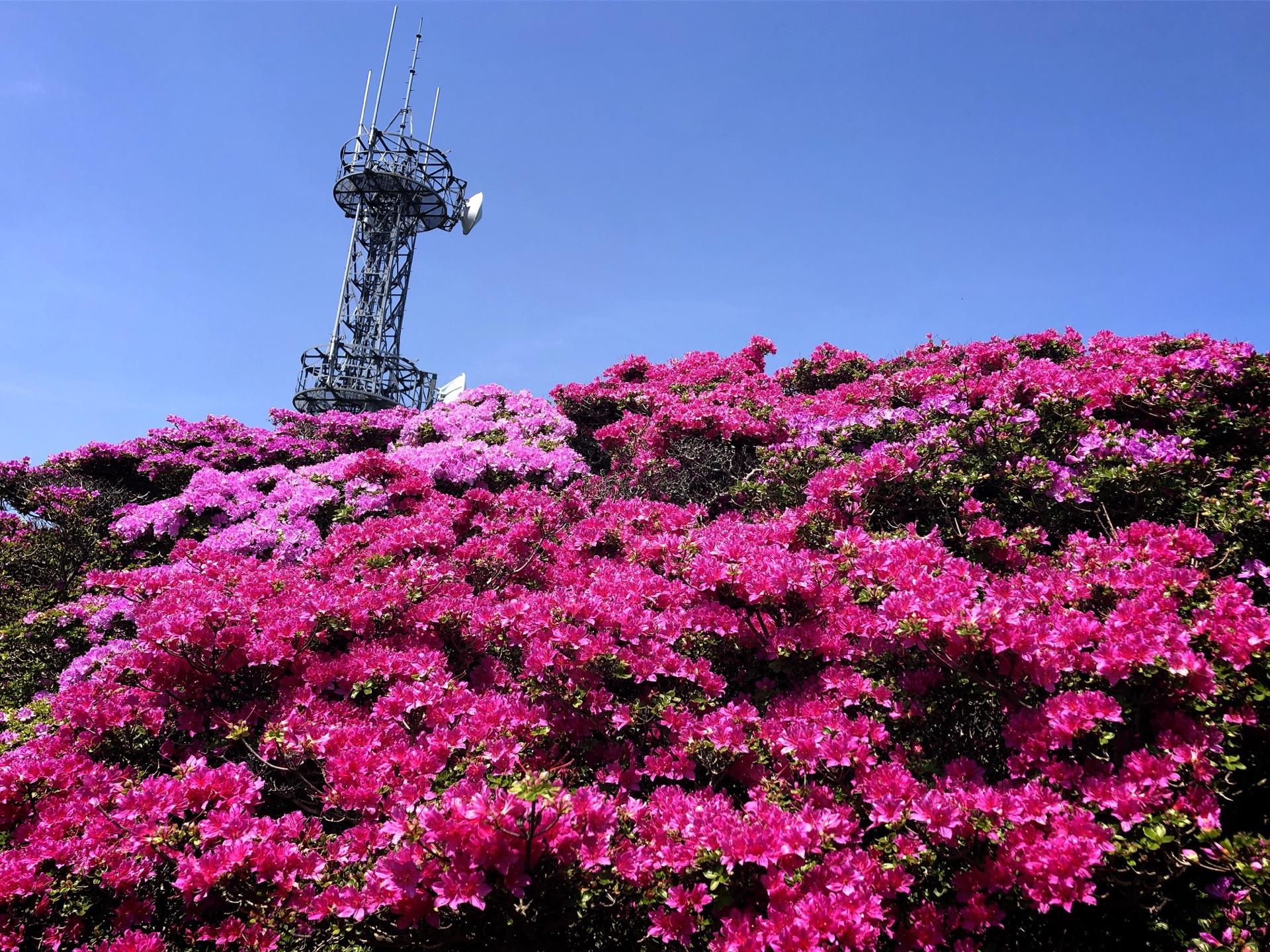 万年山 伽藍岳 鶴見岳 のMK / Coki-aさんの由布岳・鶴見岳の活動データ | YAMAP / ヤマップ