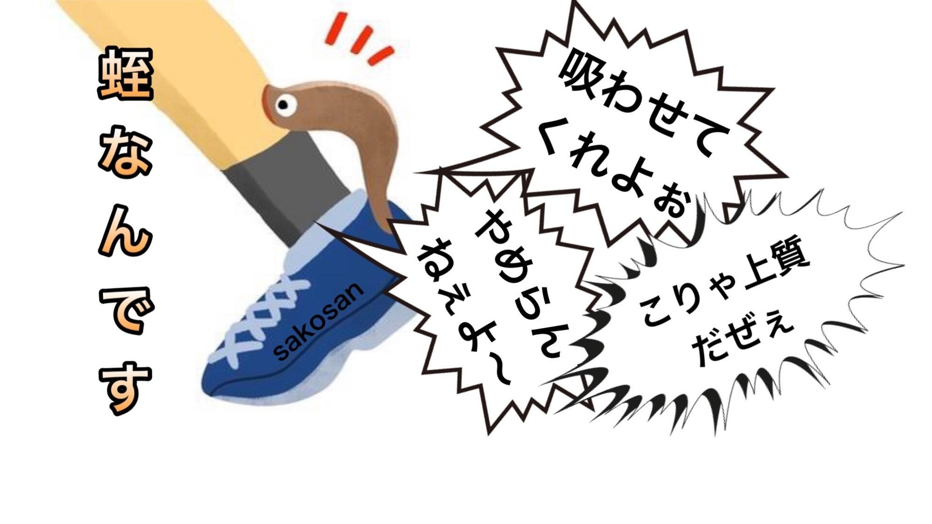 ヤマビルのシーズンですね😊 初心者目... / さこさんさんのモーメント | YAMAP / ヤマップ