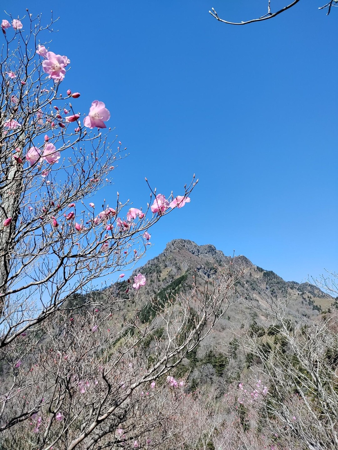 鎖場をナメてました、ゴメンナサイ!石鎚山 / kaz kitさんの石鎚山・堂ヶ森・二ノ森の活動データ | YAMAP / ヤマップ