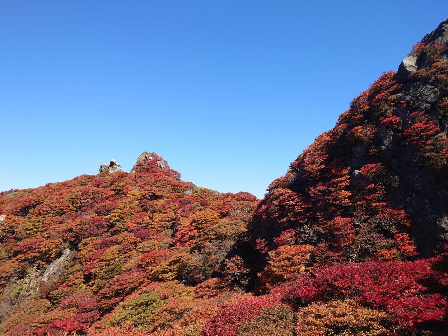 大船山 / マッチ009さんの九重山（久住山）・大船山・星生山の活動データ | YAMAP / ヤマップ