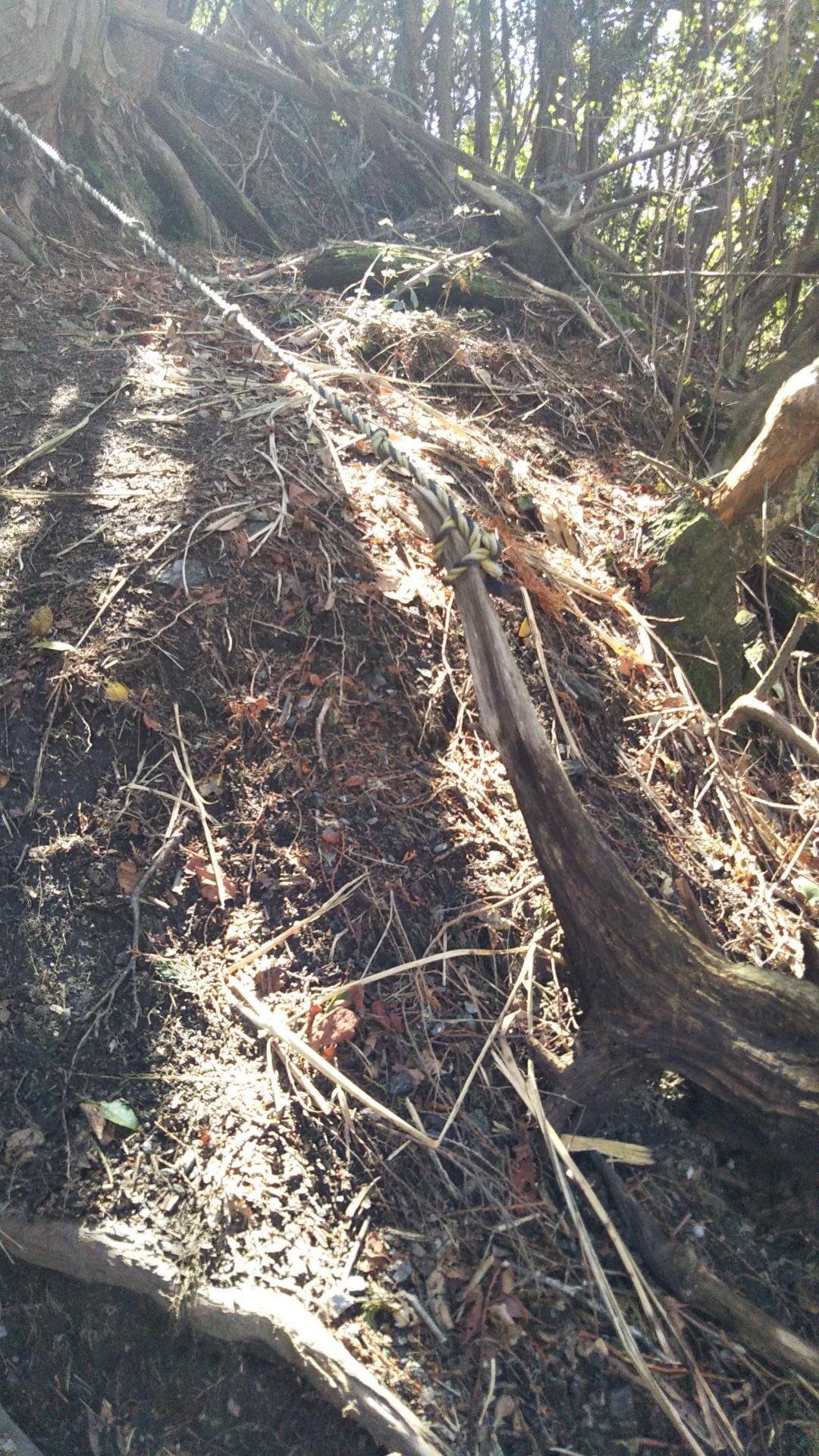 miwaさんの投稿したフィールドメモ | YAMAP / ヤマップ