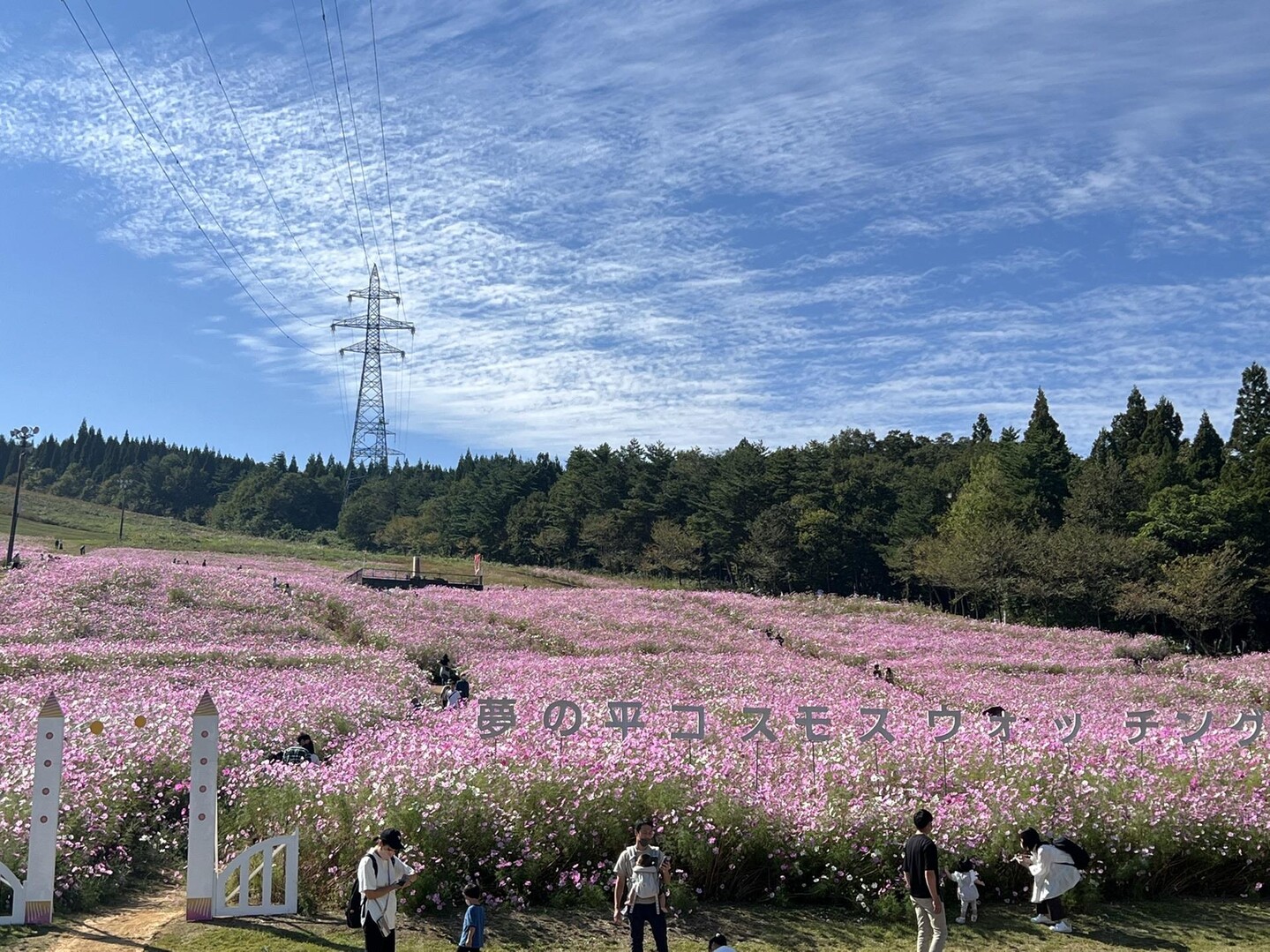 今日は夢の平コスモスウォッチングに愛犬ち... / 𝐑𝐞𝐲 🐾さんのモーメント | YAMAP / ヤマップ