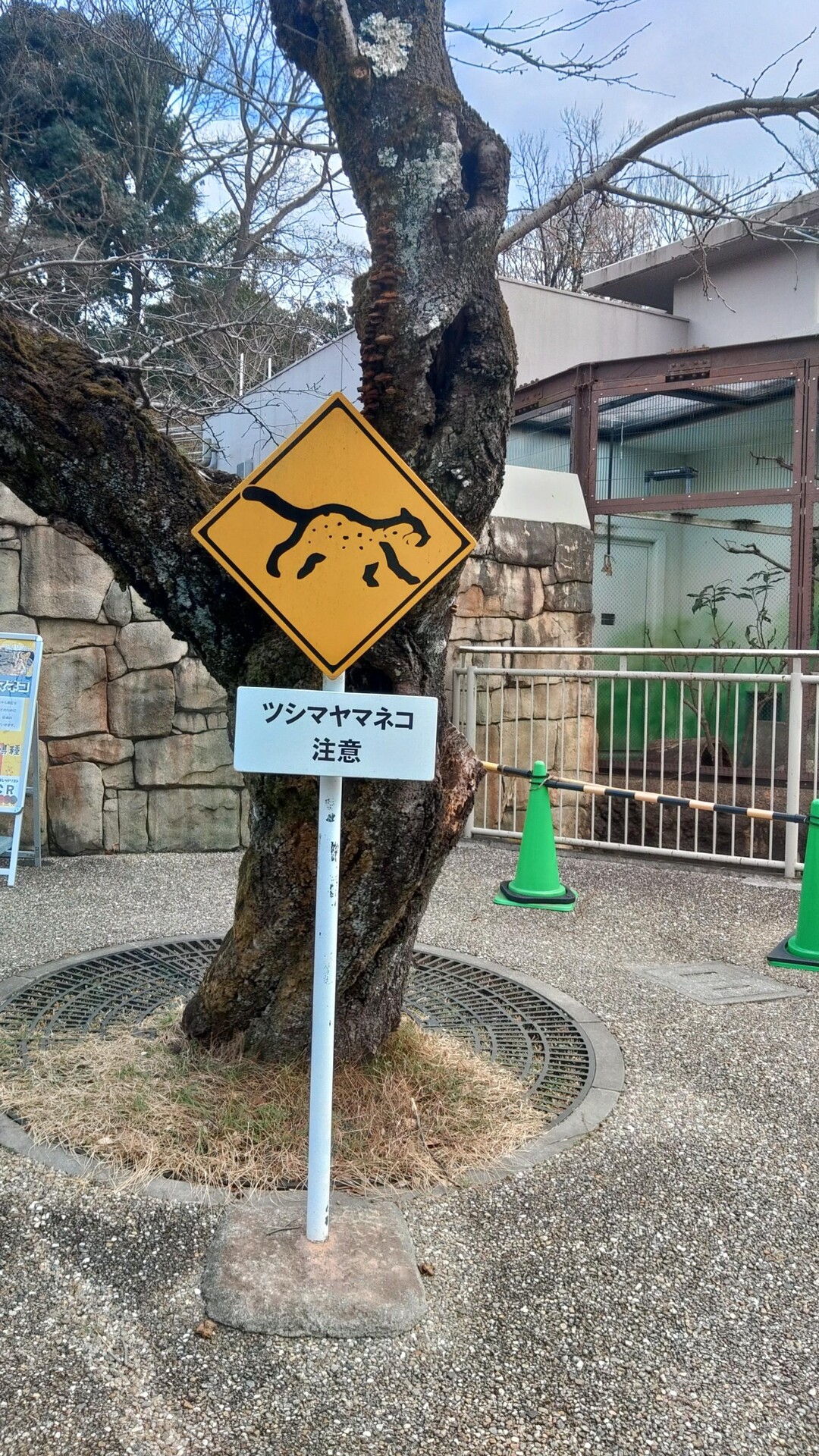 新年は東山動物園 2025-01-02 / campziziさんのウォーキングの活動データ | YAMAP / ヤマップ