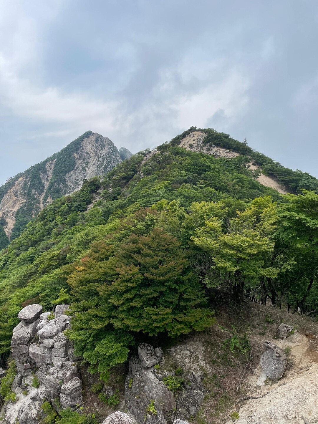 水沢岳(宮越山)・鎌ヶ岳 / T1333さんの入道ヶ岳・鎌ヶ岳・仙ヶ岳の活動データ | YAMAP / ヤマップ