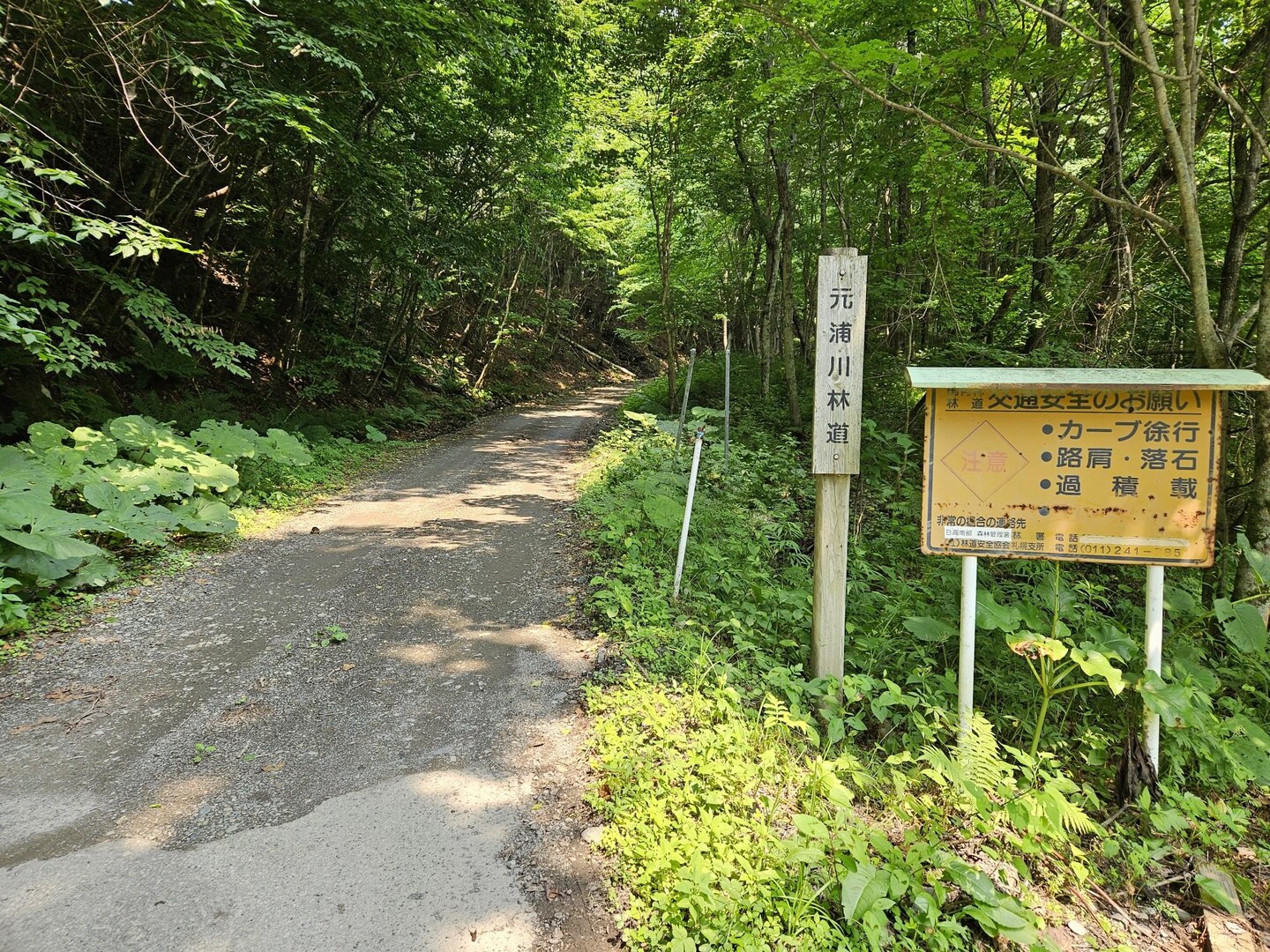 ペテガリ山荘から登山口 / kamママさんのペテガリ岳の活動日記 | YAMAP / ヤマップ