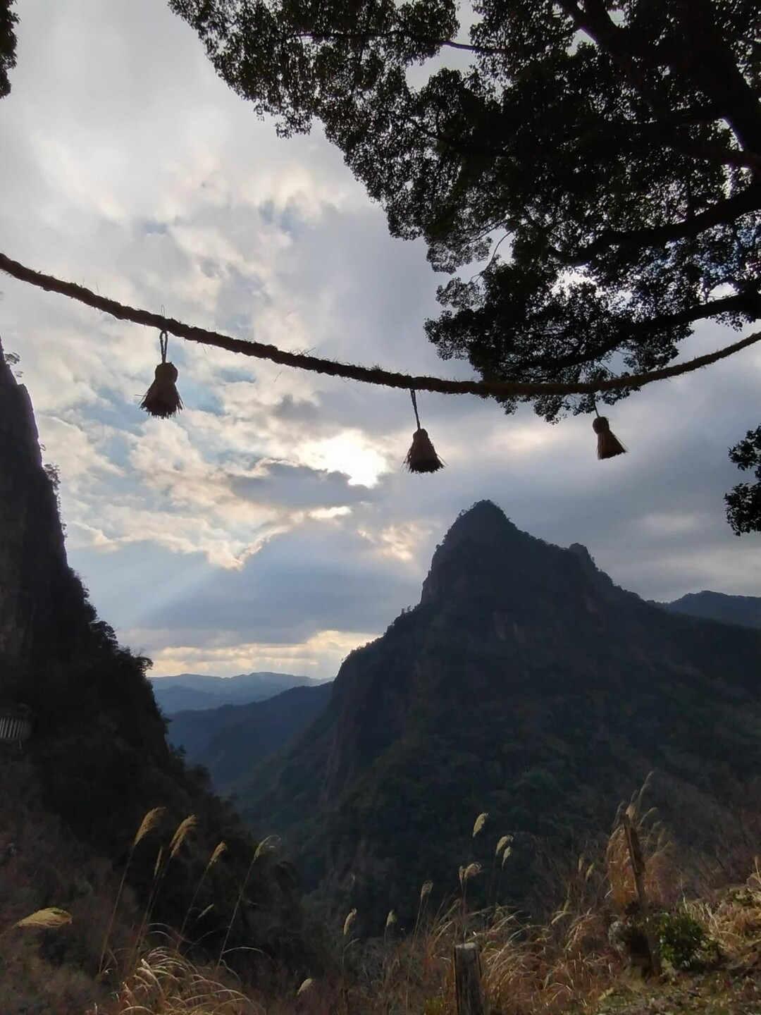 2024.1.28 時々、鹿よけネット張... / nanaoさんのモーメント | YAMAP / ヤマップ