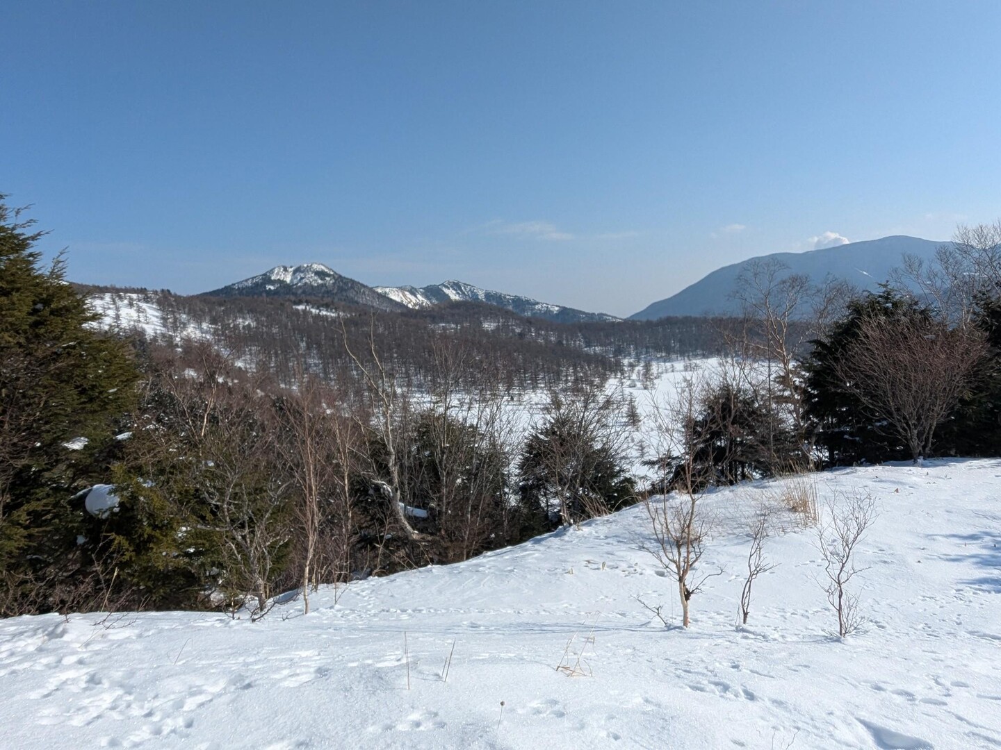 見晴岳・三方ヶ峰 / maaさんの湯ノ丸山・角間山・鍋蓋山の活動データ | YAMAP / ヤマップ