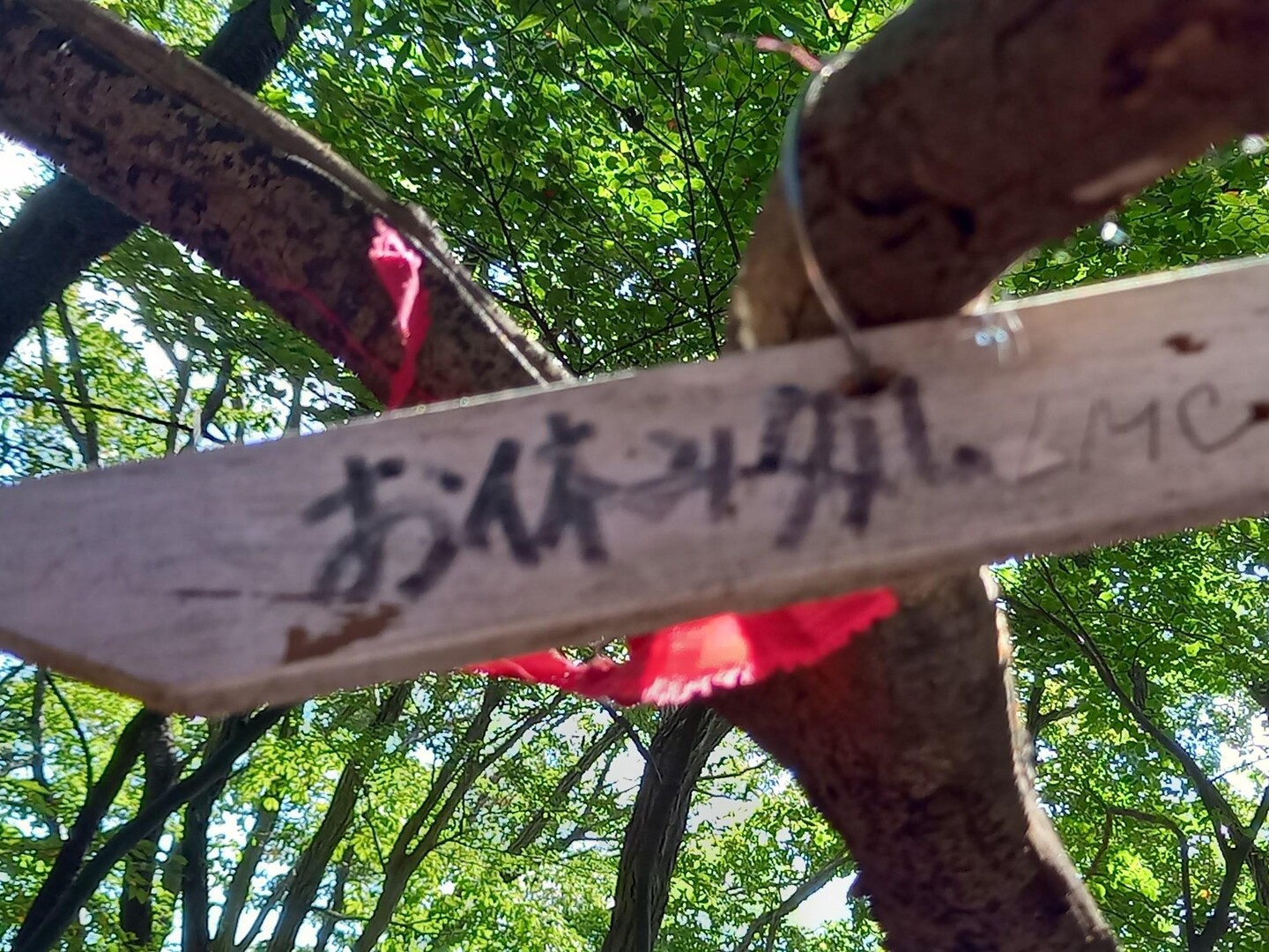 景信山・大久保山・478m圏峰・猪ノ鼻山 / mikaさんの高尾山・陣馬山・景信山の活動データ | YAMAP / ヤマップ