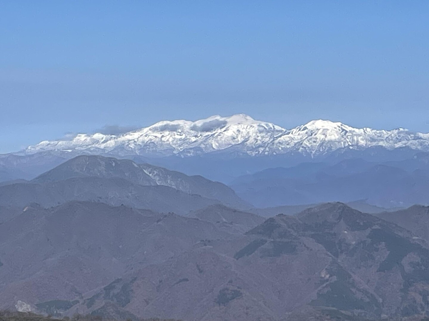 前山・能郷白山 / golfbakaさんの能郷白山の活動データ | YAMAP / ヤマップ