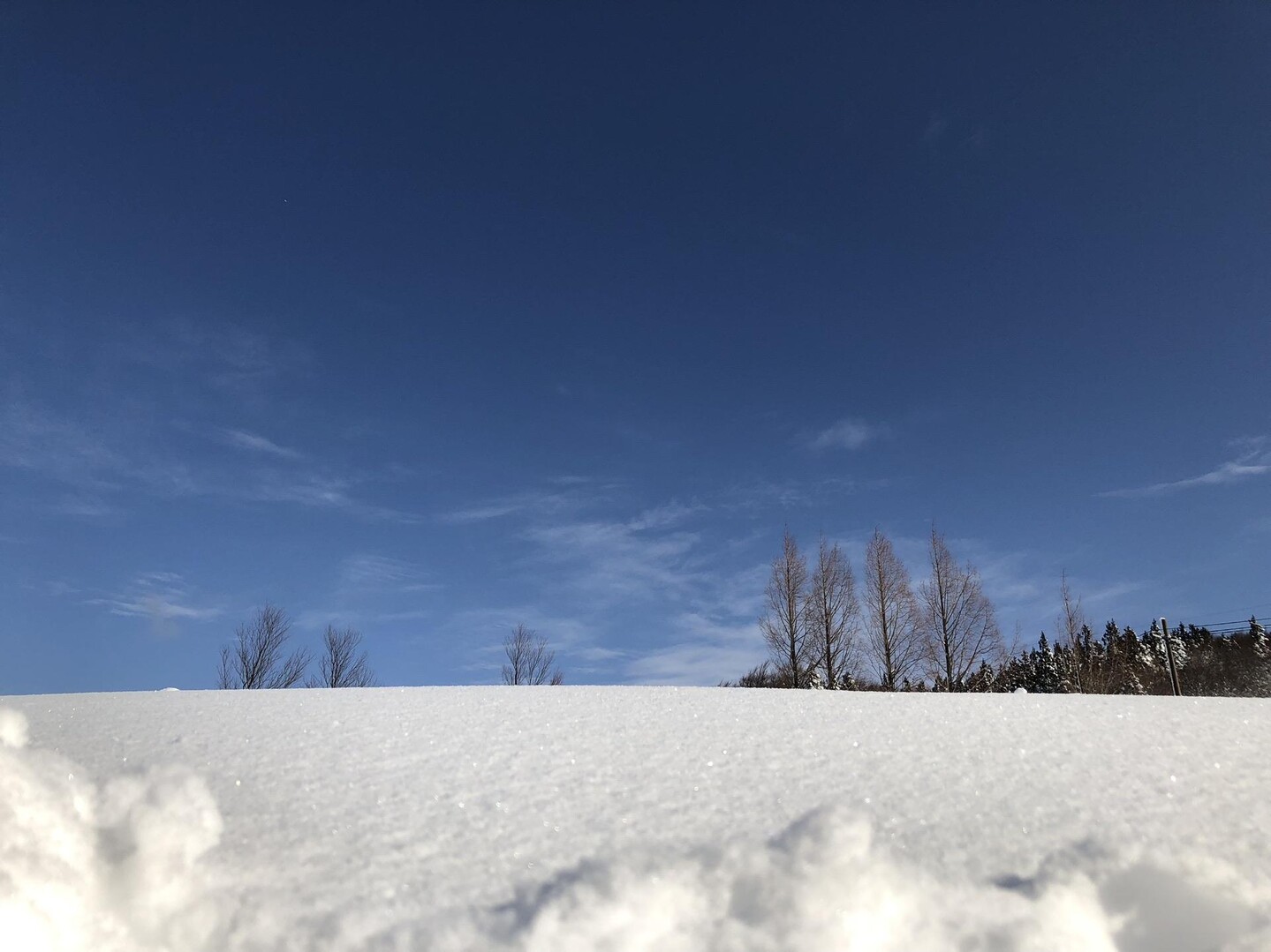 弓張平スノーシューオープニング / shanneiさんの西川町の活動データ | YAMAP / ヤマップ