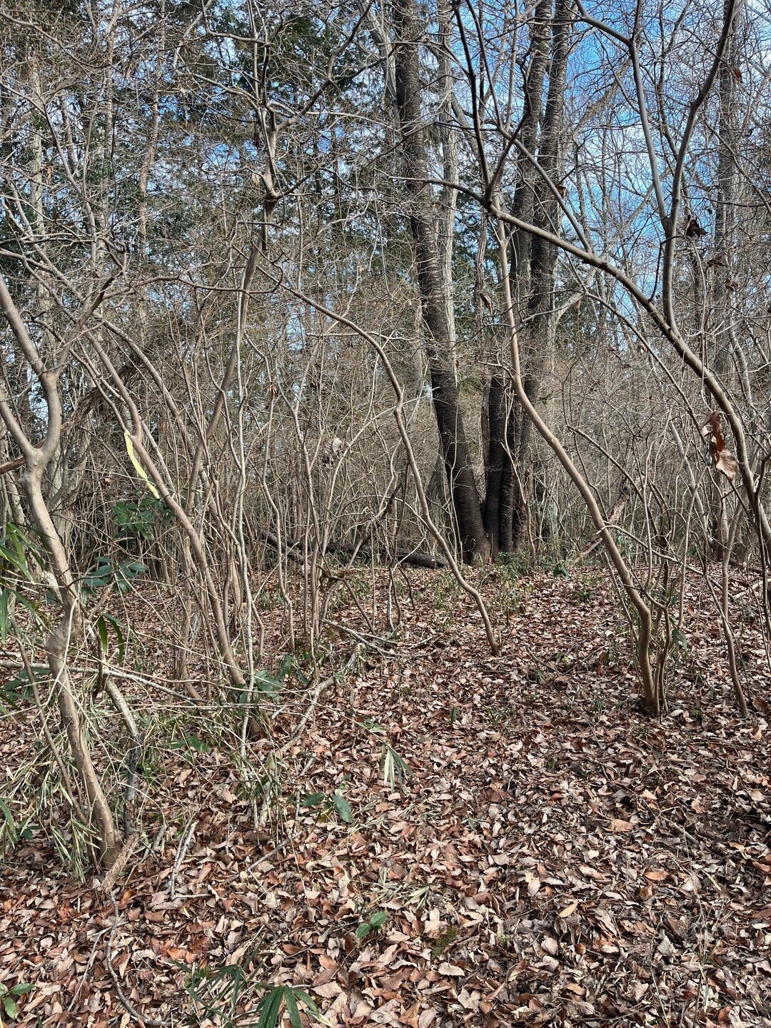 samさんの投稿したフィールドメモ | YAMAP / ヤマップ