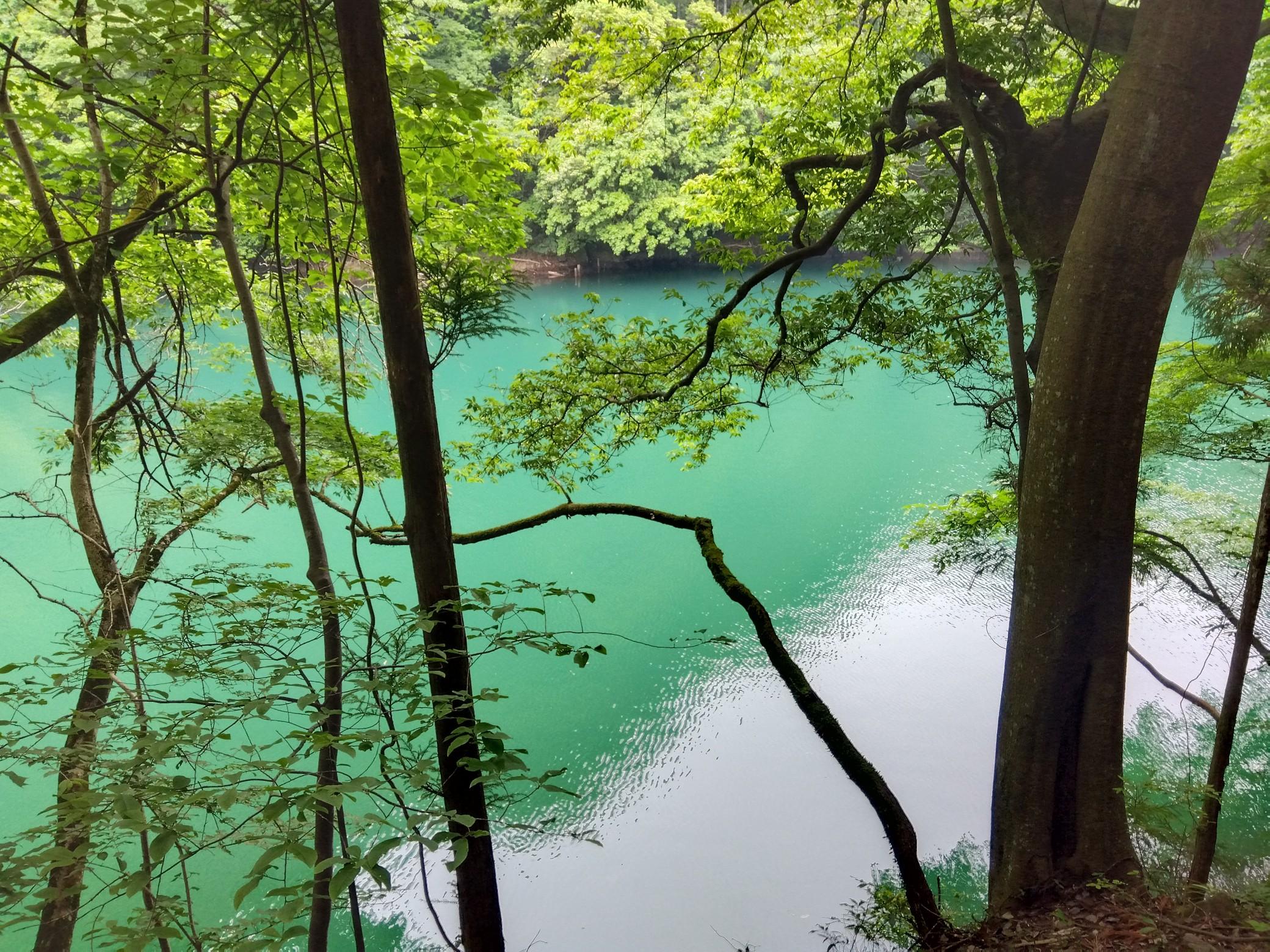 大多摩WTふたたび🤗 / isokitiさんの大岳山・御岳山・御前山の活動データ | YAMAP / ヤマップ