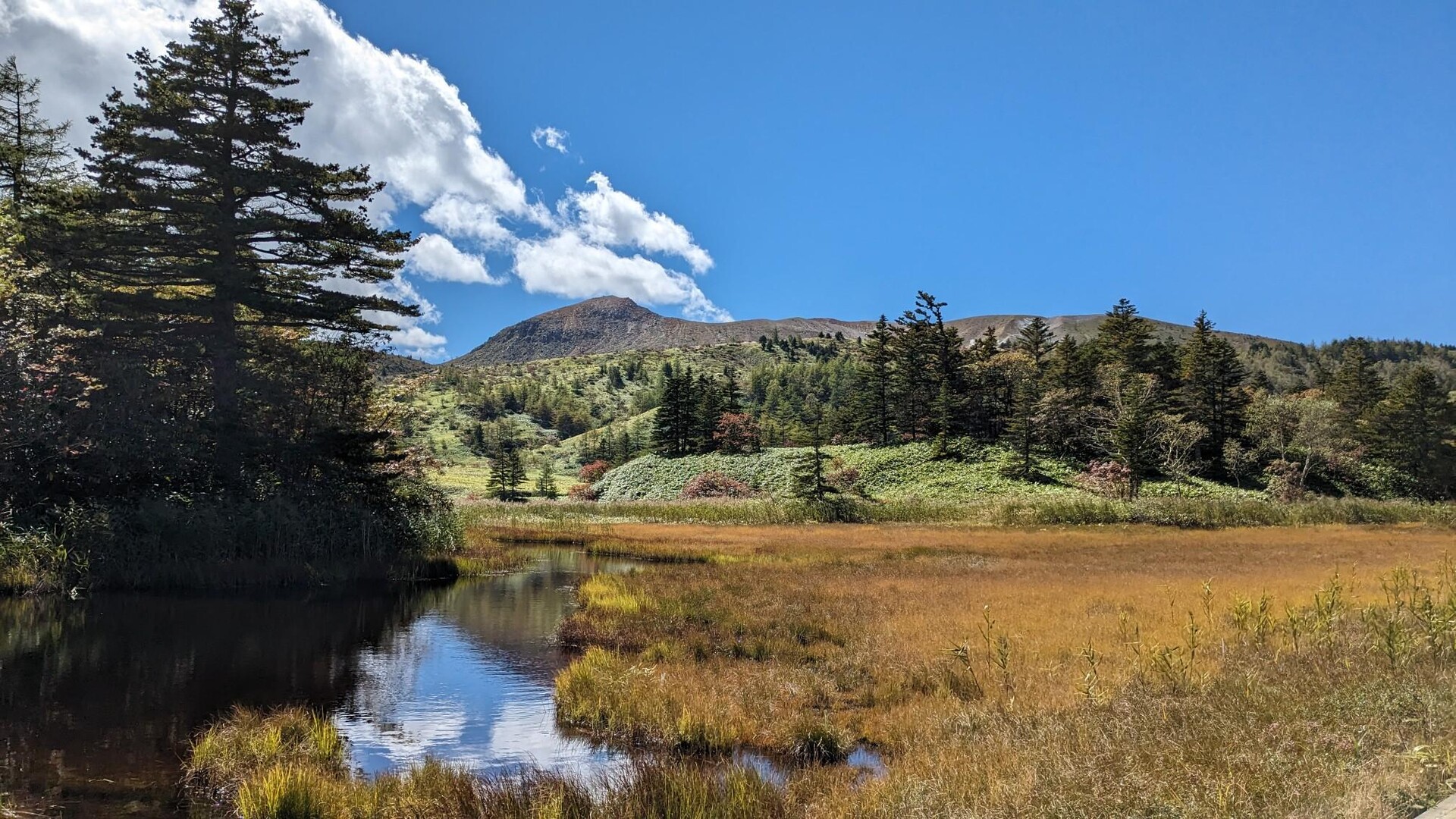 草津白根山(横手山) / かめきちさんの草津白根山・湯釜の活動データ | YAMAP / ヤマップ