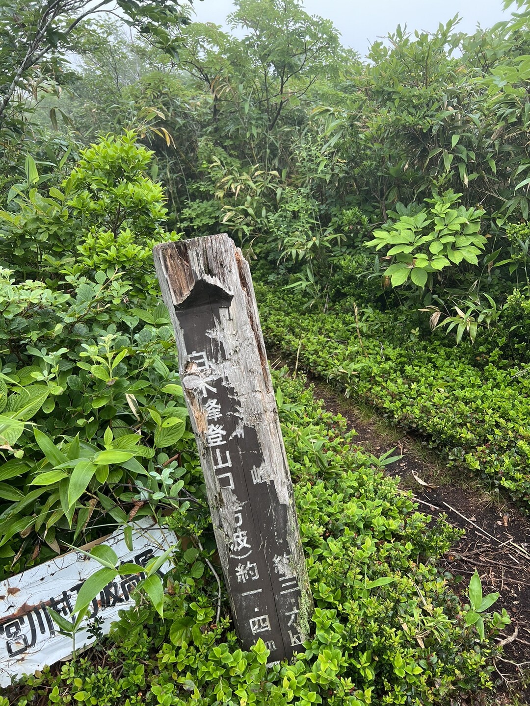 白山下山後は白峰温泉 総湯でまったり♨️... / kozueさんのモーメント | YAMAP / ヤマップ