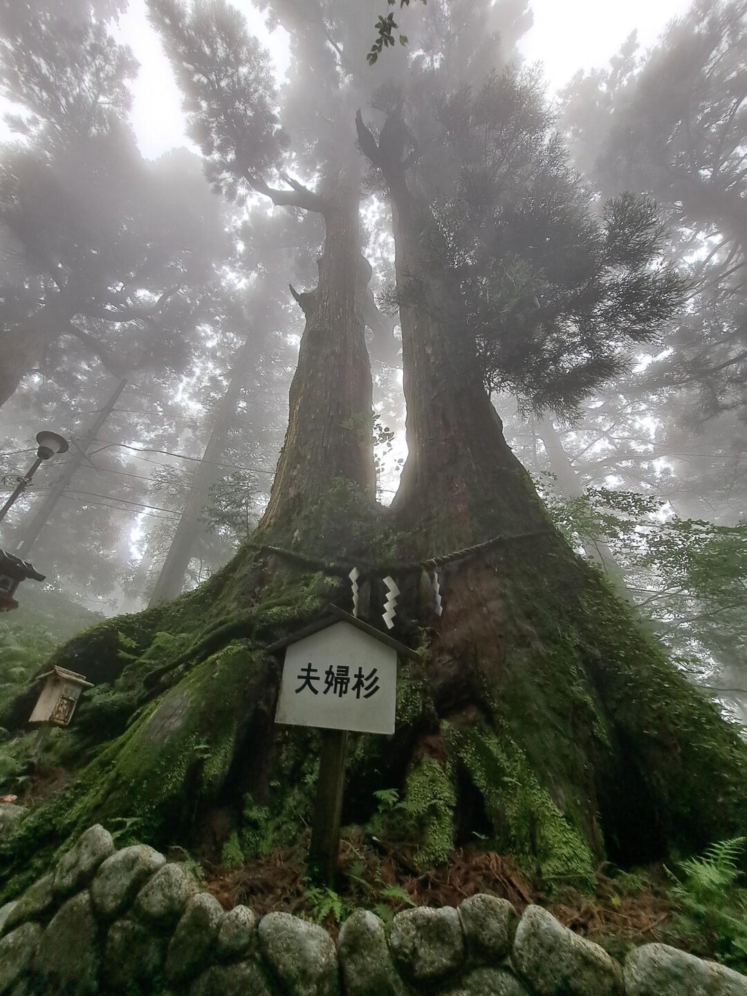 ダイトレ分割Part3(金剛山～紀見峠) / ynziziさんの金剛山・二上山・大和葛城山の活動データ | YAMAP / ヤマップ