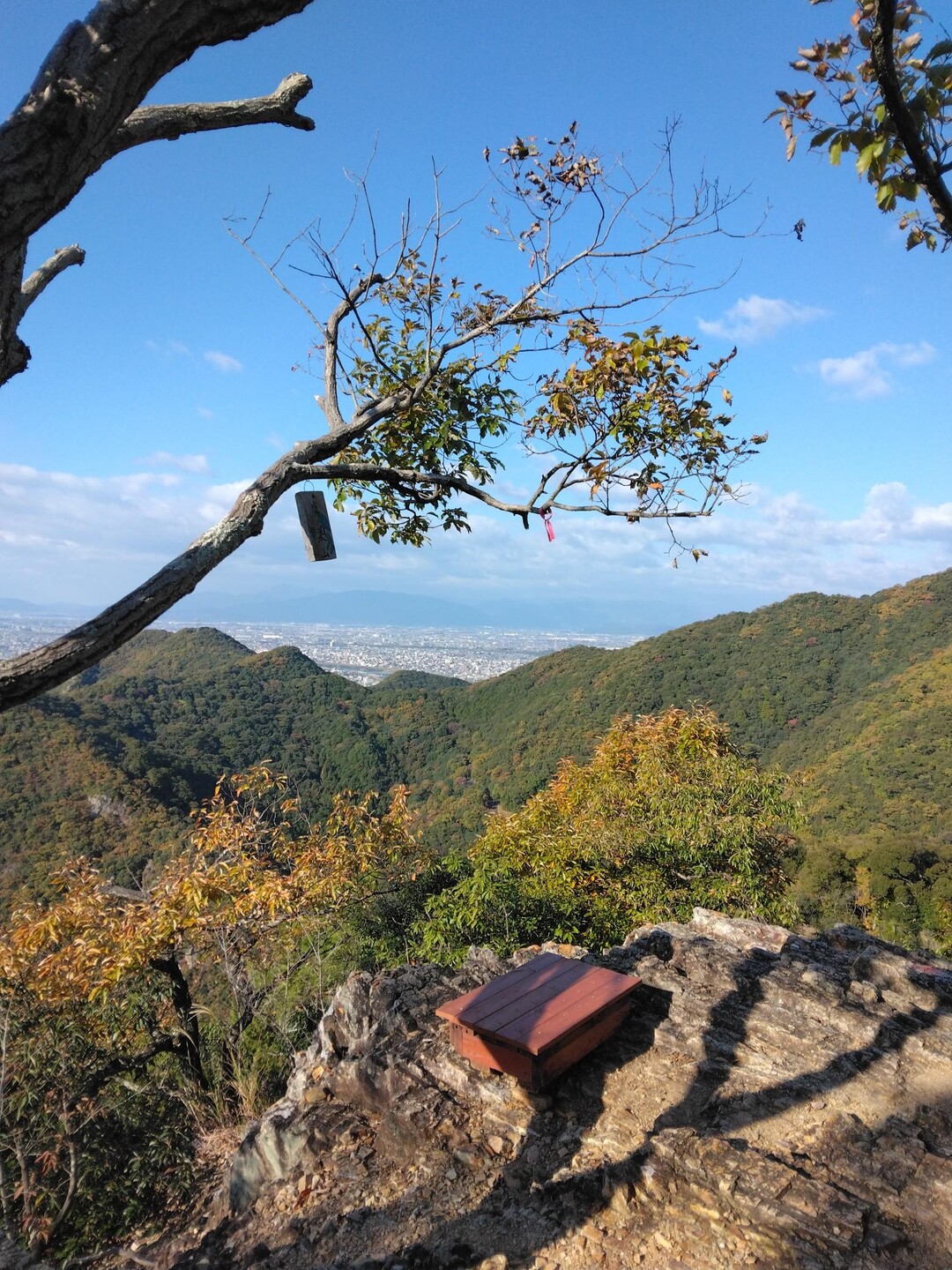 鷹巣山～金華山 / Kakkoさんの金華山・洞山・舟伏山の活動データ | YAMAP / ヤマップ