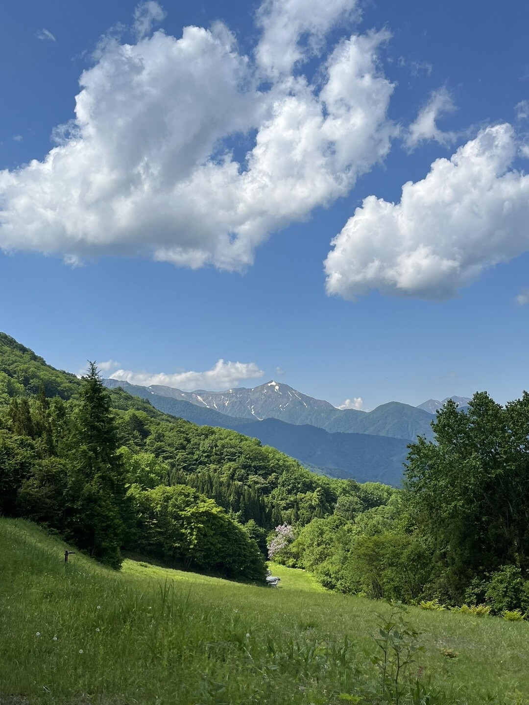 Gran trail MINAKAMI 2024 50k / リン駒八さんの吾妻耶山・大峰山の活動データ | YAMAP / ヤマップ