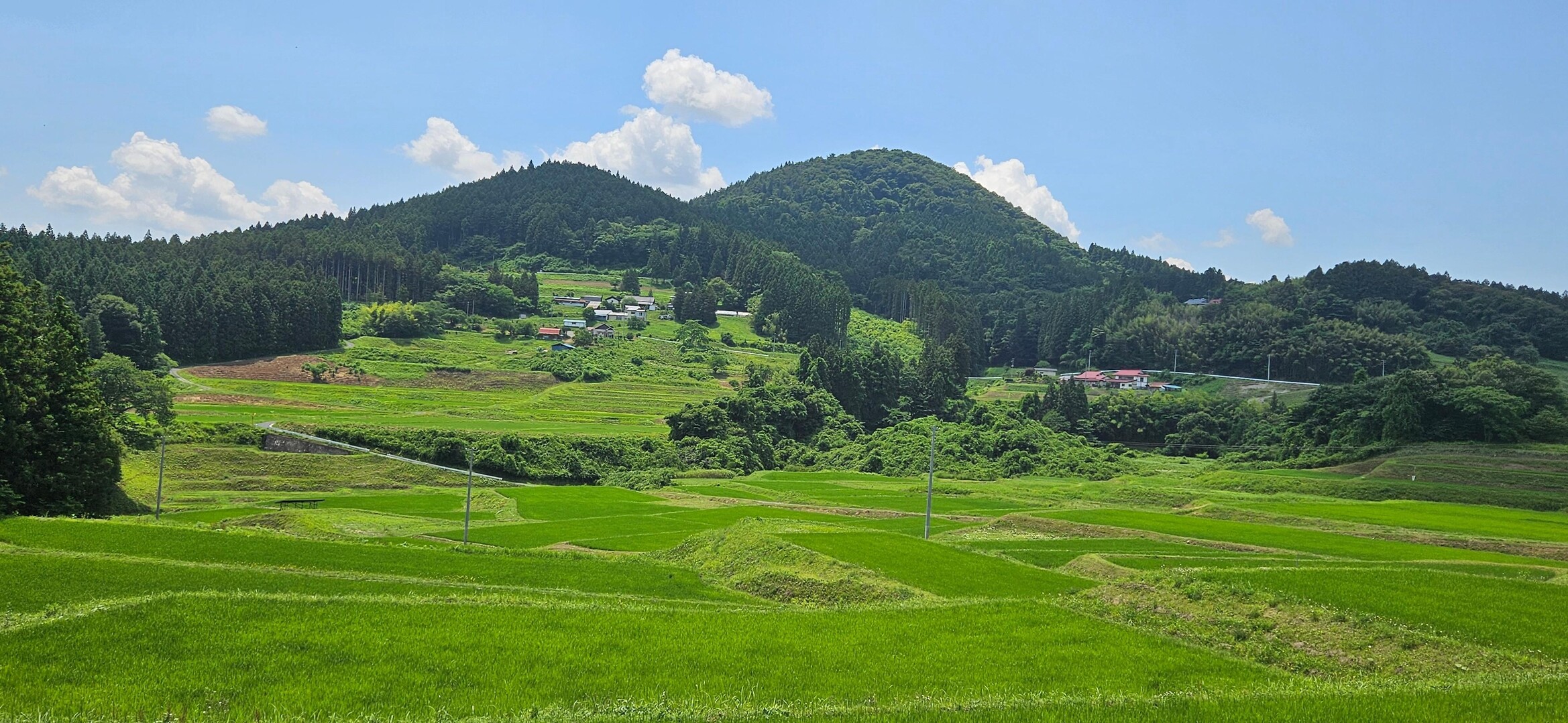 烏兎ヶ森 350m / ケンさんの一関市・平泉町の活動データ | YAMAP / ヤマップ