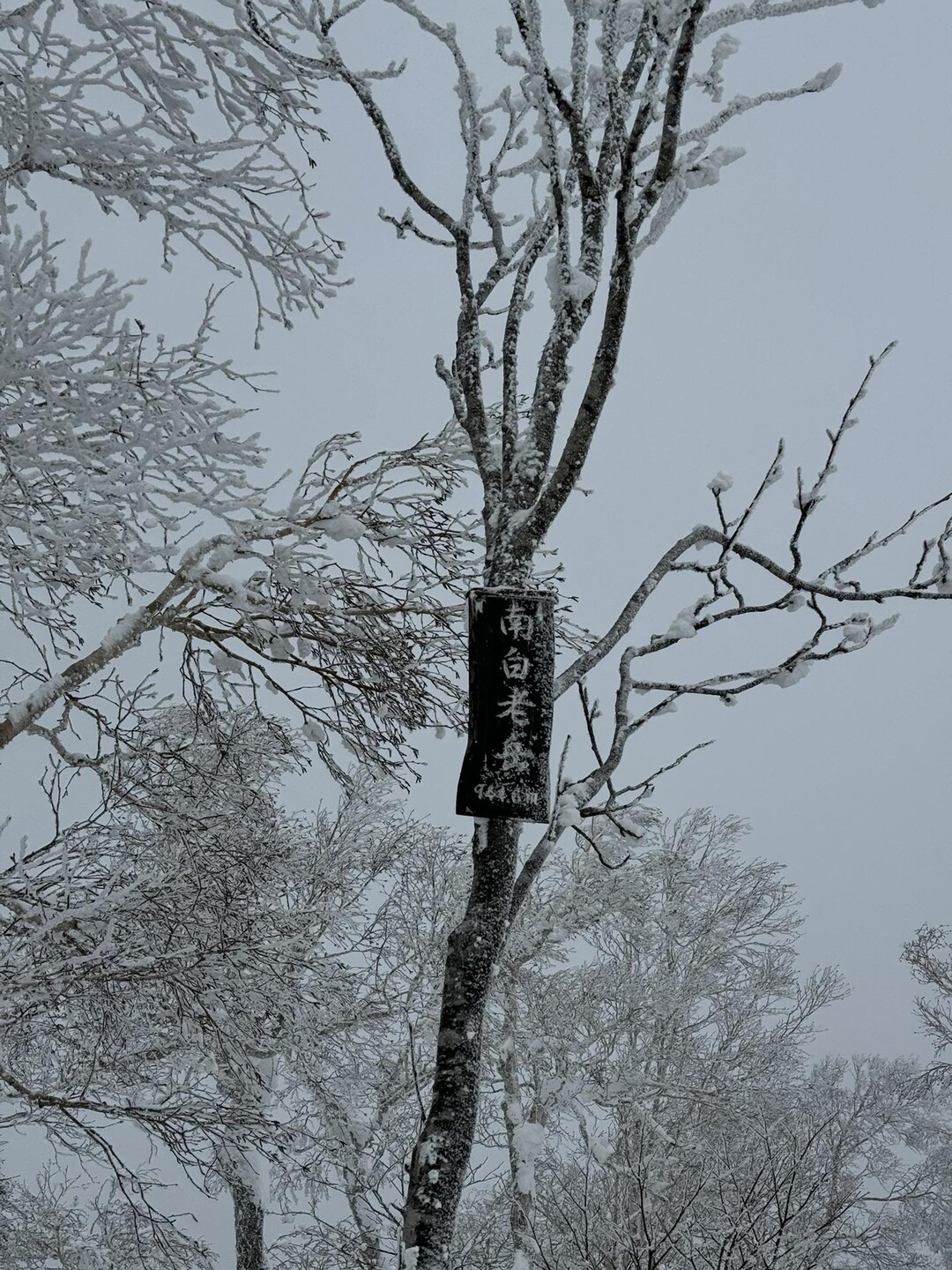 南白老岳 / rurutetuさんの白老岳の活動データ | YAMAP / ヤマップ