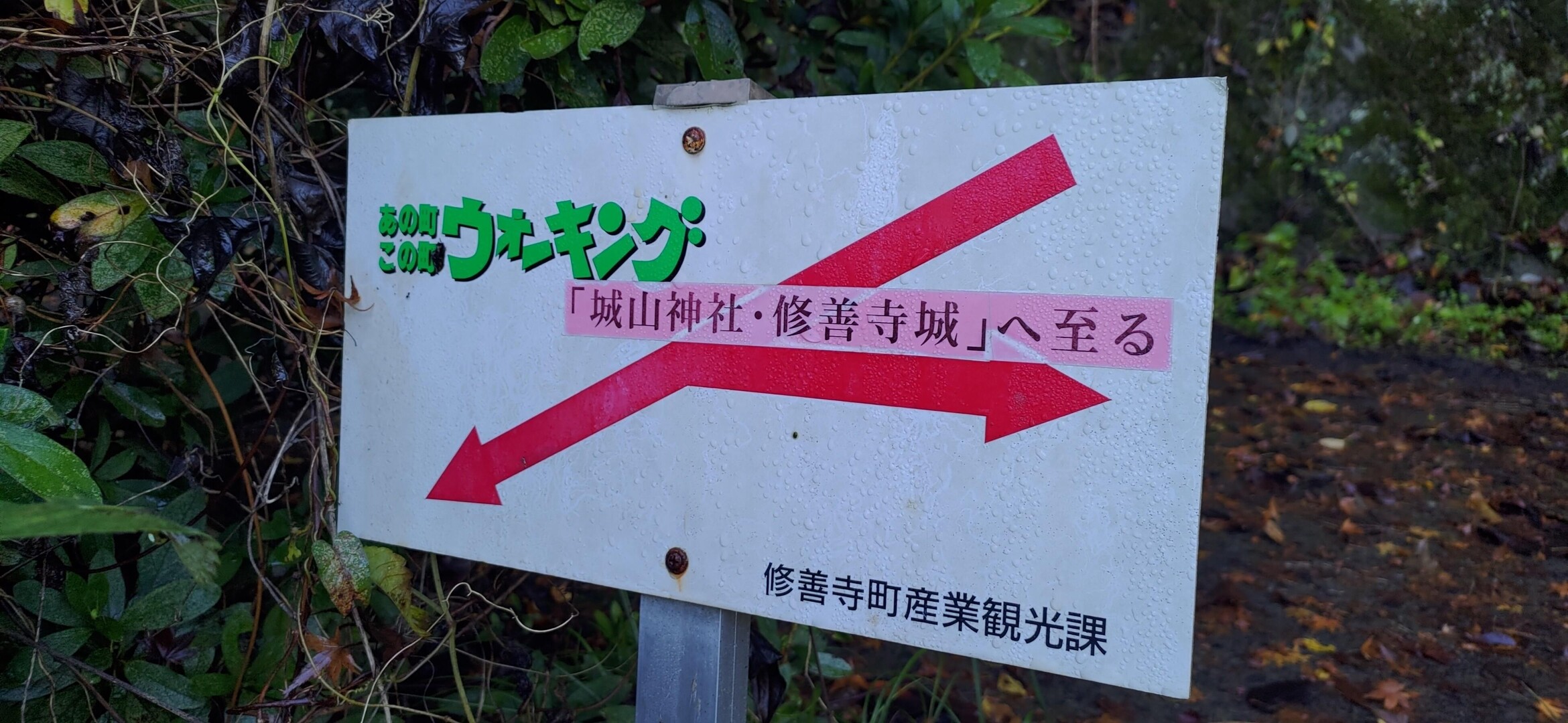 hal（わたなべ）さんの投稿したフィールドメモ | YAMAP / ヤマップ